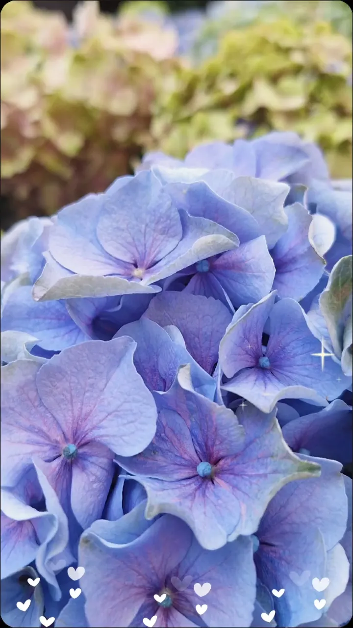 #สวัสดีวันเสาร์💜🌈 #ติดเทรนด์ | วิดีโอที่เผยแพร่โดย Su Kun Ya | Lemon8