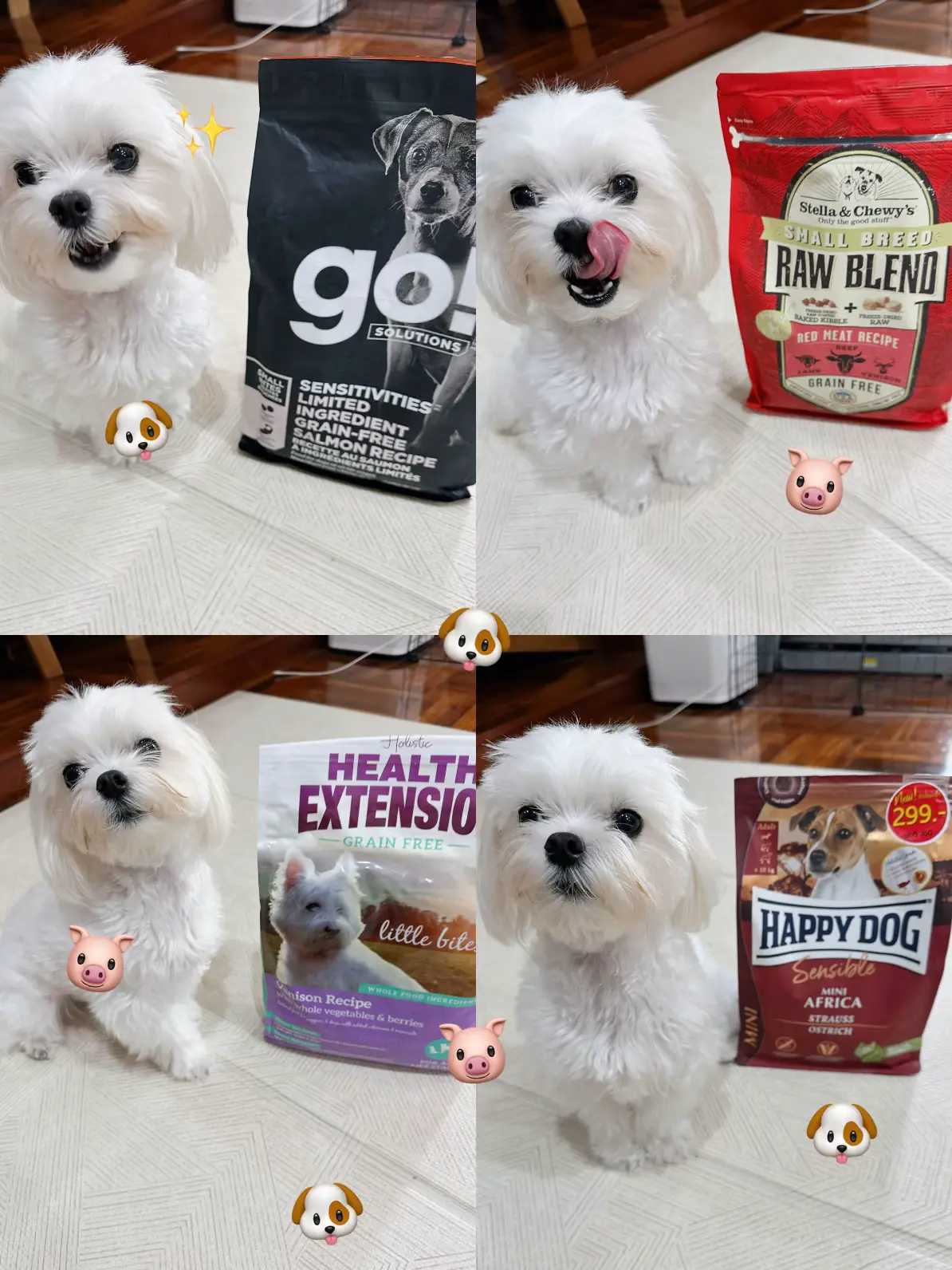 อาหารเม็ดสำหรับสุนัขตัวจิ๋ว 🐶 | แกลเลอรีที่โพสต์โดย polar.maltese | Lemon8