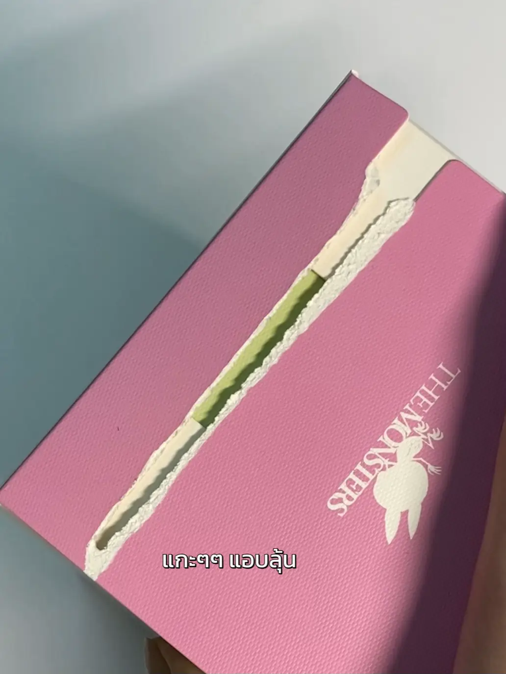 19 ไอเดียยอดนิยมเกี่ยวกับ Labubu Macaron ชุดceline ในปี 2024