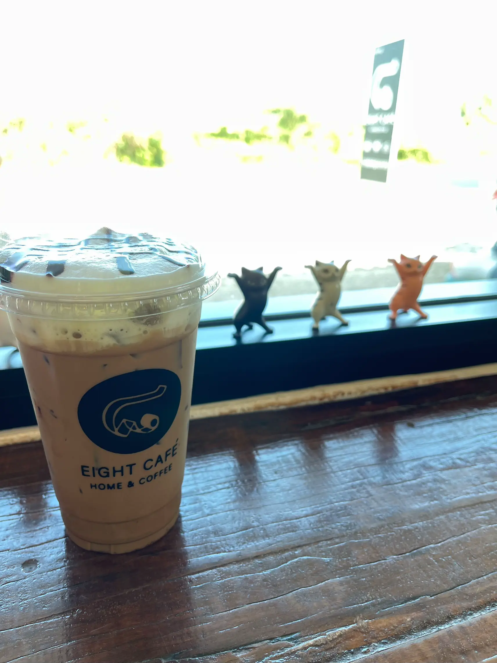 EIGHT CAFE ร้านคาเฟ่ที่เป็นมิตรกับสัตว์เลี้ยง 🐶🐱 | แกลเลอรีที่โพสต์โดย ...