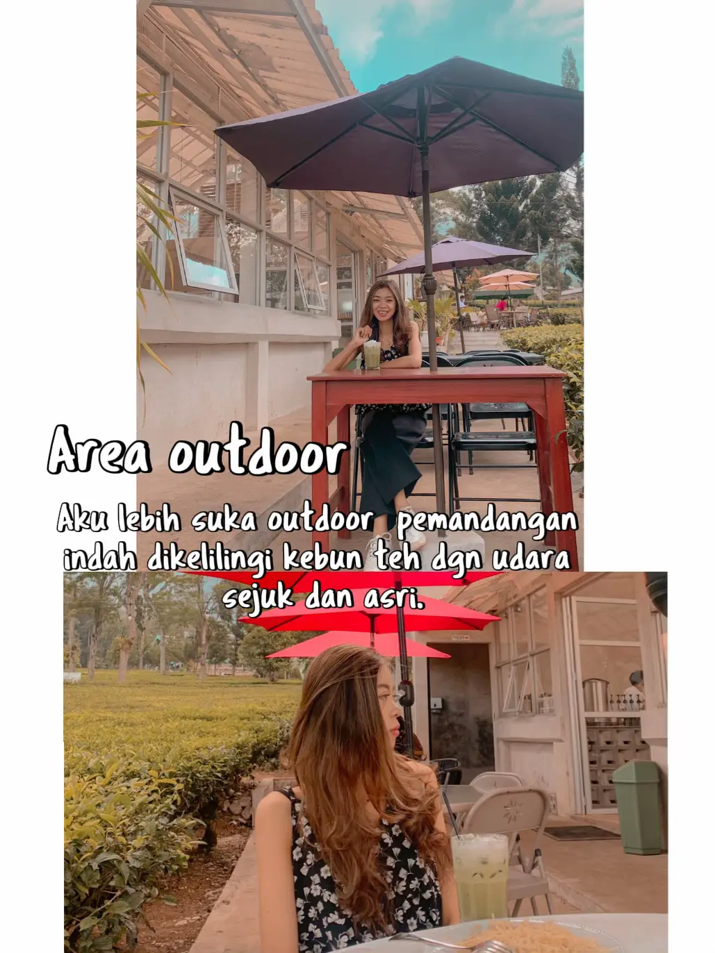 Cafe cozy berhawa sejuk “ciwidey bandung” | Galeri diposting oleh Yeti ...