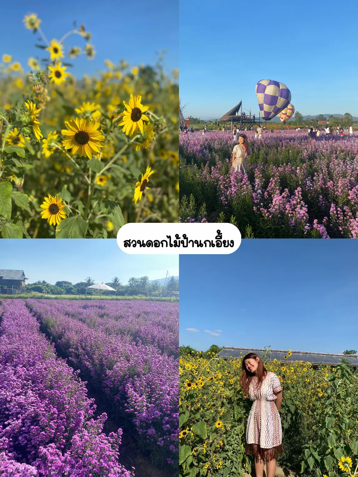 📍รวมพิกัดในเชียงใหม่ 2023 🌈 | แกลเลอรีที่โพสต์โดย om | Lemon8