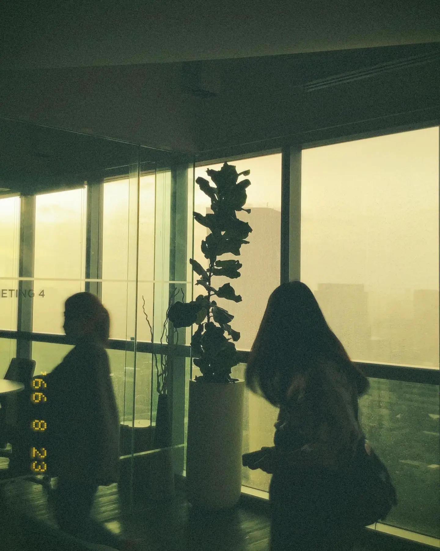 แอพกล้องฟิล์ม EE35 Film camera | แกลเลอรีที่โพสต์โดย mukmashare 🛍️ | Lemon8