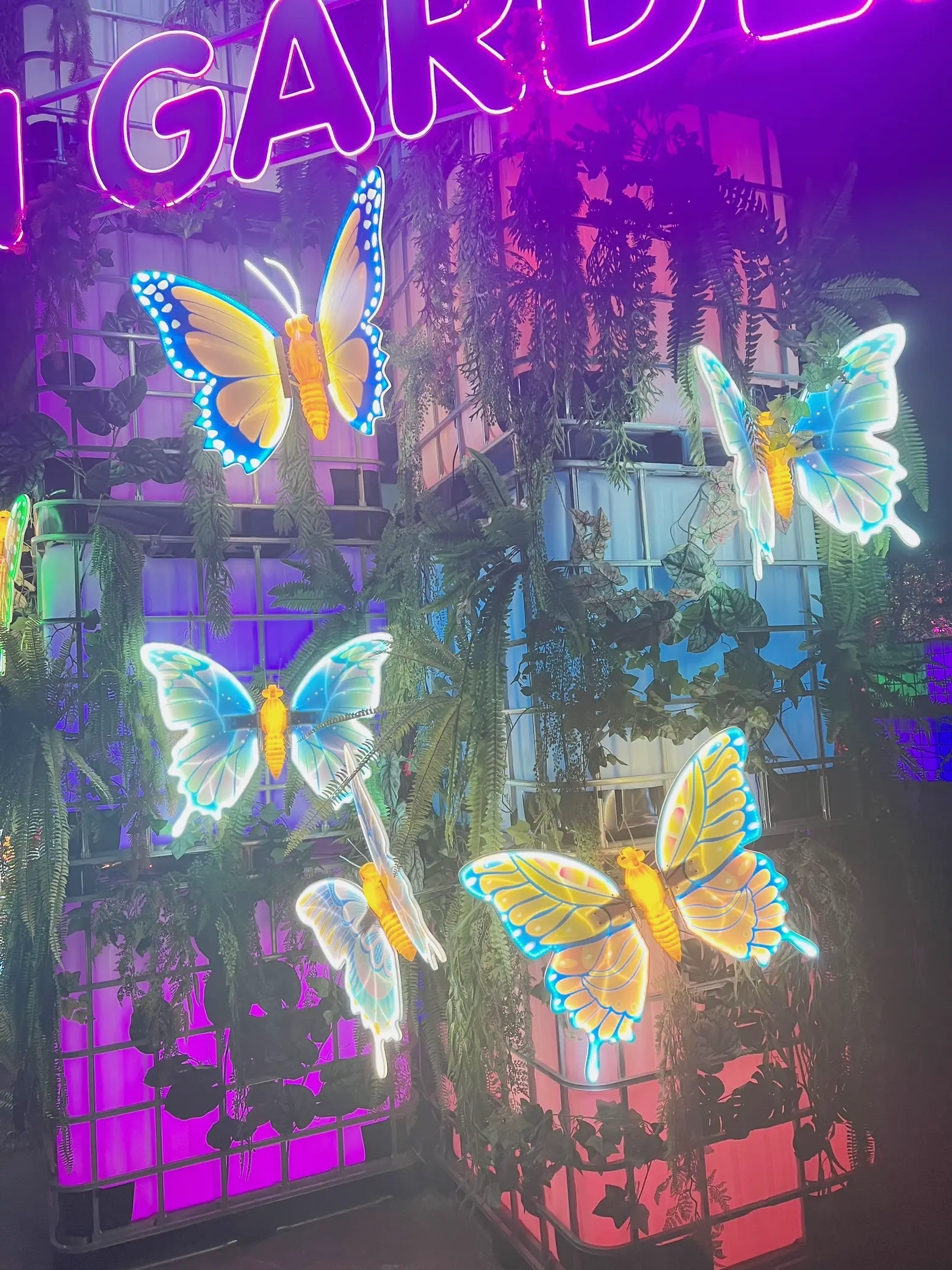 Neon countdown 🎉🦋 | แกลเลอรีที่โพสต์โดย อยากจะเเชร์ | Lemon8