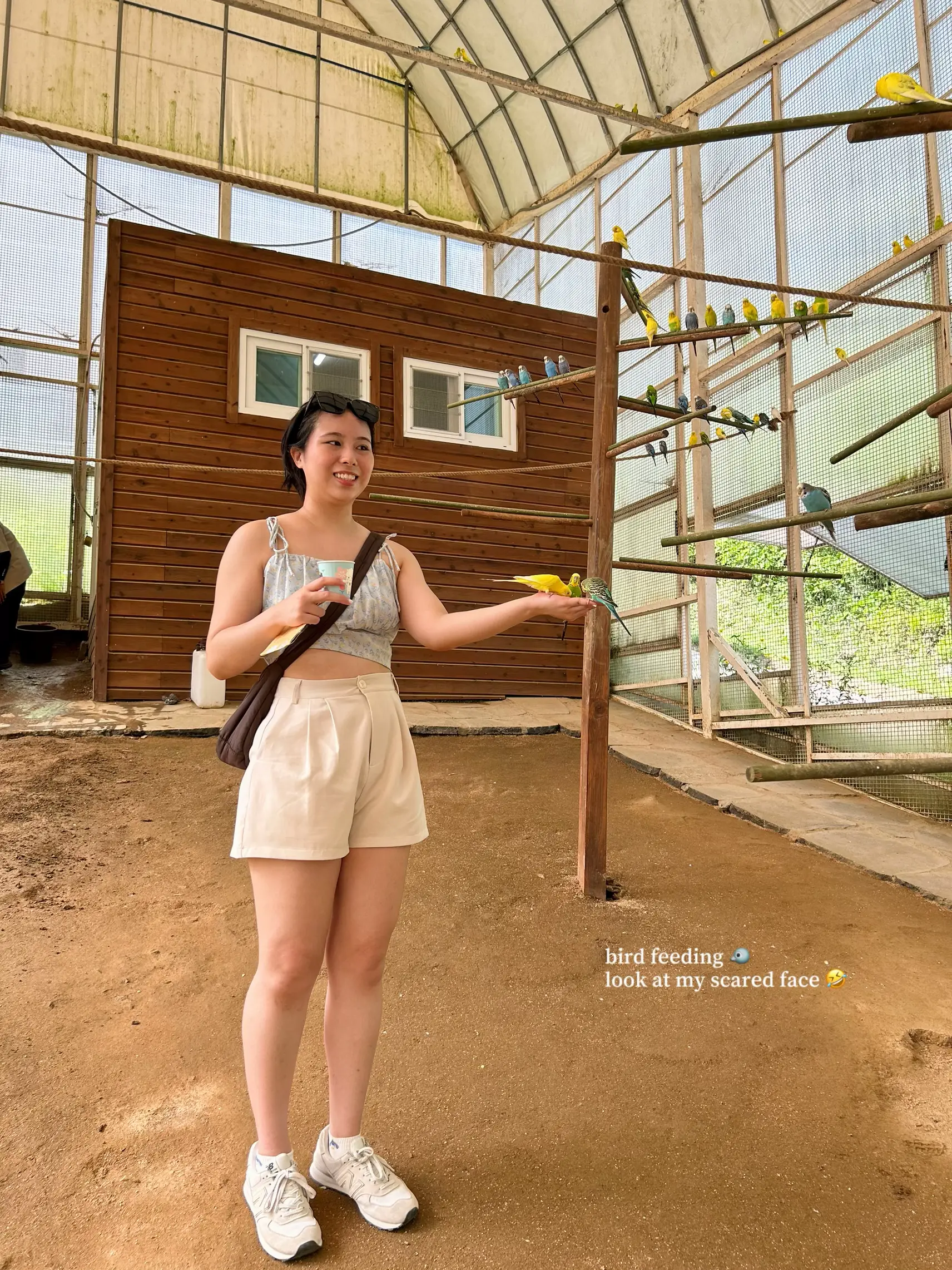 Chuncheon adventures 🇰🇷 | Gallery posted by Jean | Lemon8