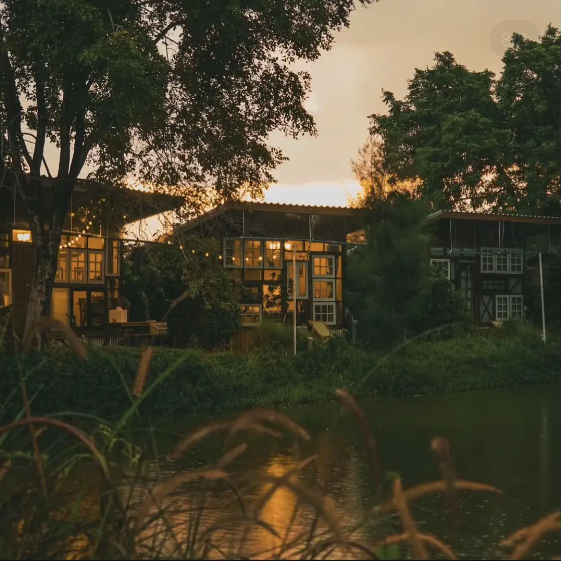 One day #4 - Rice Field Home Farmstay & Cafe | แกลเลอรีที่โพสต์โดย เป็ด ...