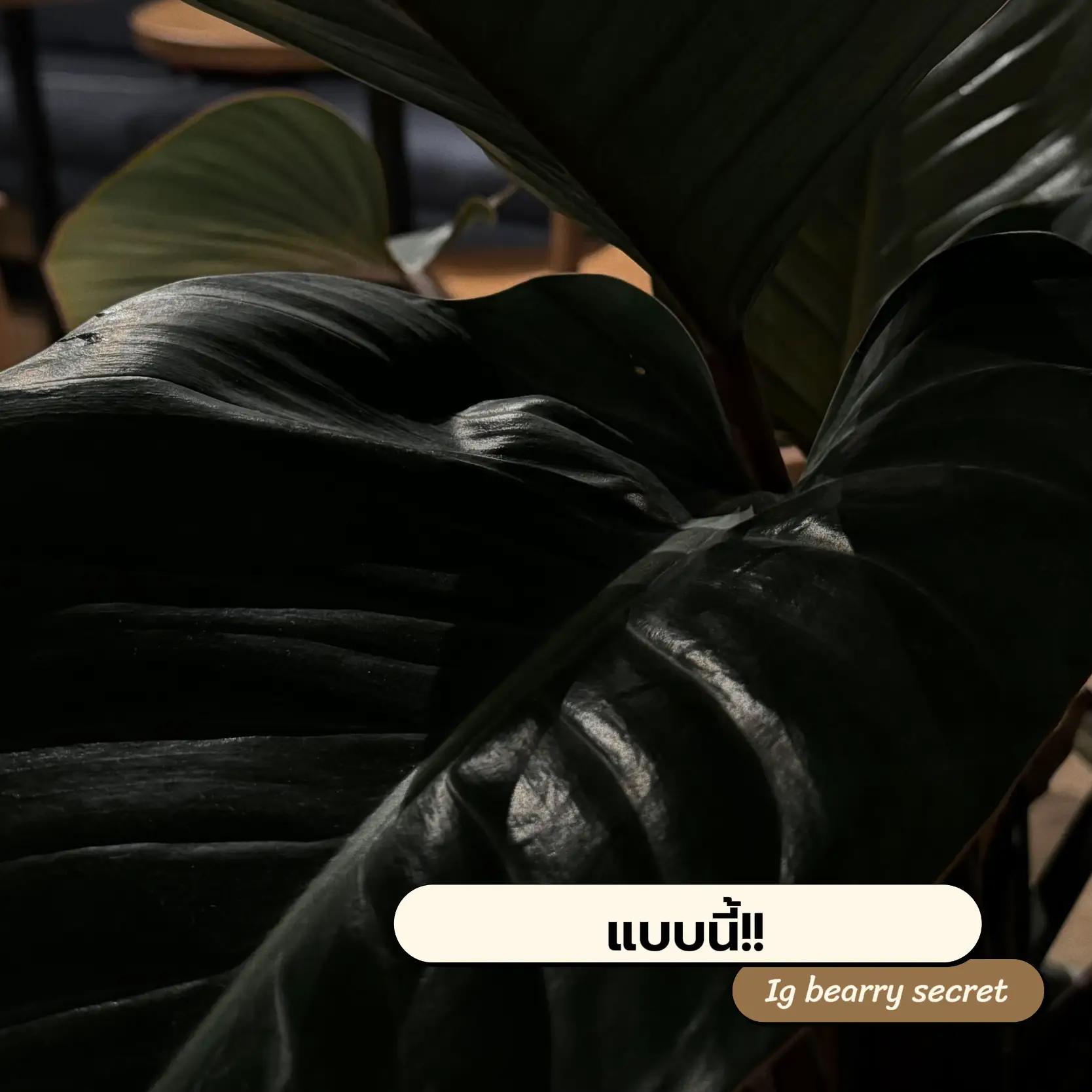 วิธีแต่งรูปให้น่ากลัว - การค้นหาใน Lemon8