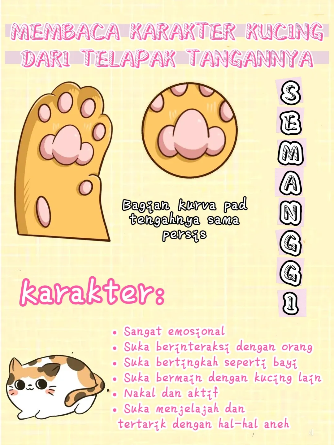 jenis-jenis kucing - Pencarian Lemon8