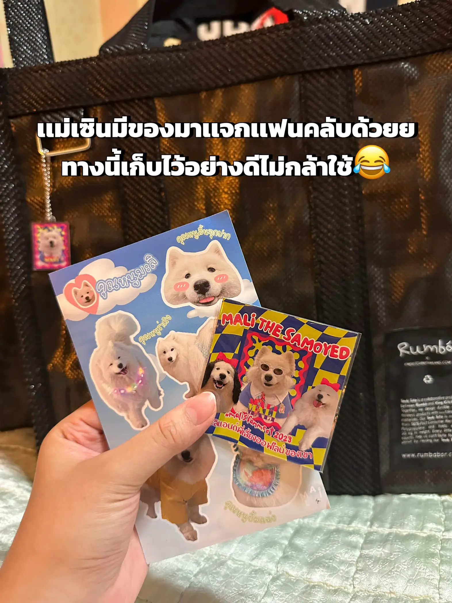 ไปเป็นพี่เลี้ยงออฟไลน์ของคุณหนูมะลิ1วัน🐻‍ ️ | แกลเลอรีที่โพสต์โดย 08.atom.diary | Lemon8