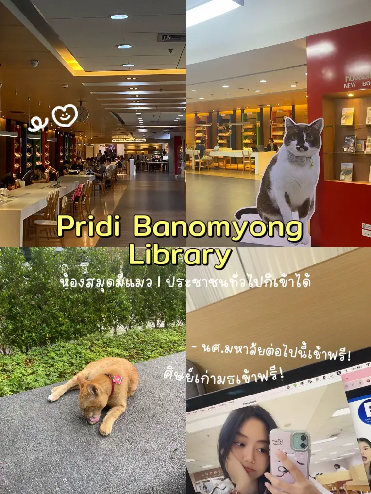 ที่นั่งอ่านหนังสือ/ทำงาน บรรยากาศดี ในกรุงเทพ 📚🤓 | แกลเลอรีที่โพสต์โดย ...