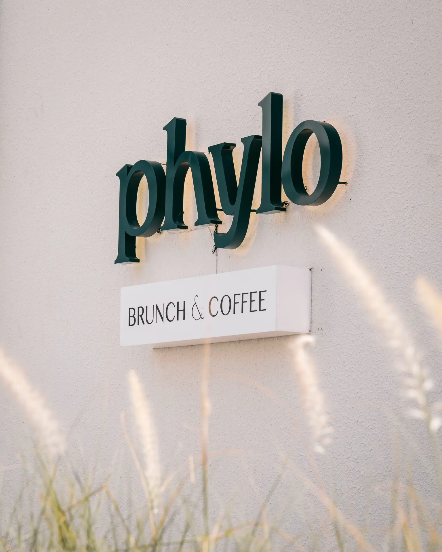 PHYLO (ฟิโล) คาเฟ่ฟีลเกาหลีอบอุ่นโฮมมี่ เปิดใหม่ในย่านสวนผัก | แกลเลอรีที่โพสต์โดย Rattomarty ...