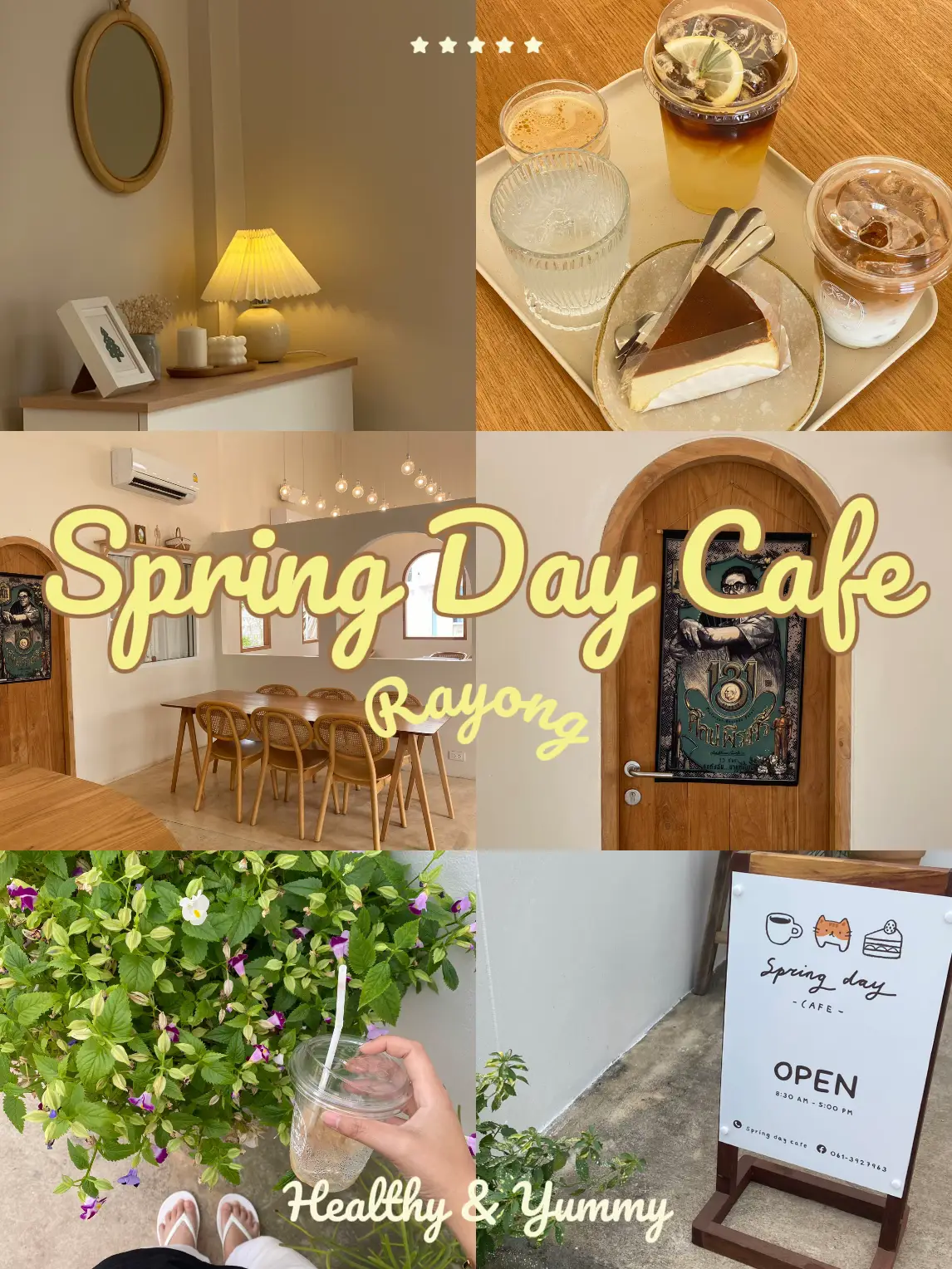 Spring Day Cafe Rayong 🌤️🐈🪐🌸 | แกลเลอรีที่โพสต์โดย คุณตาลรีวิว | Lemon8