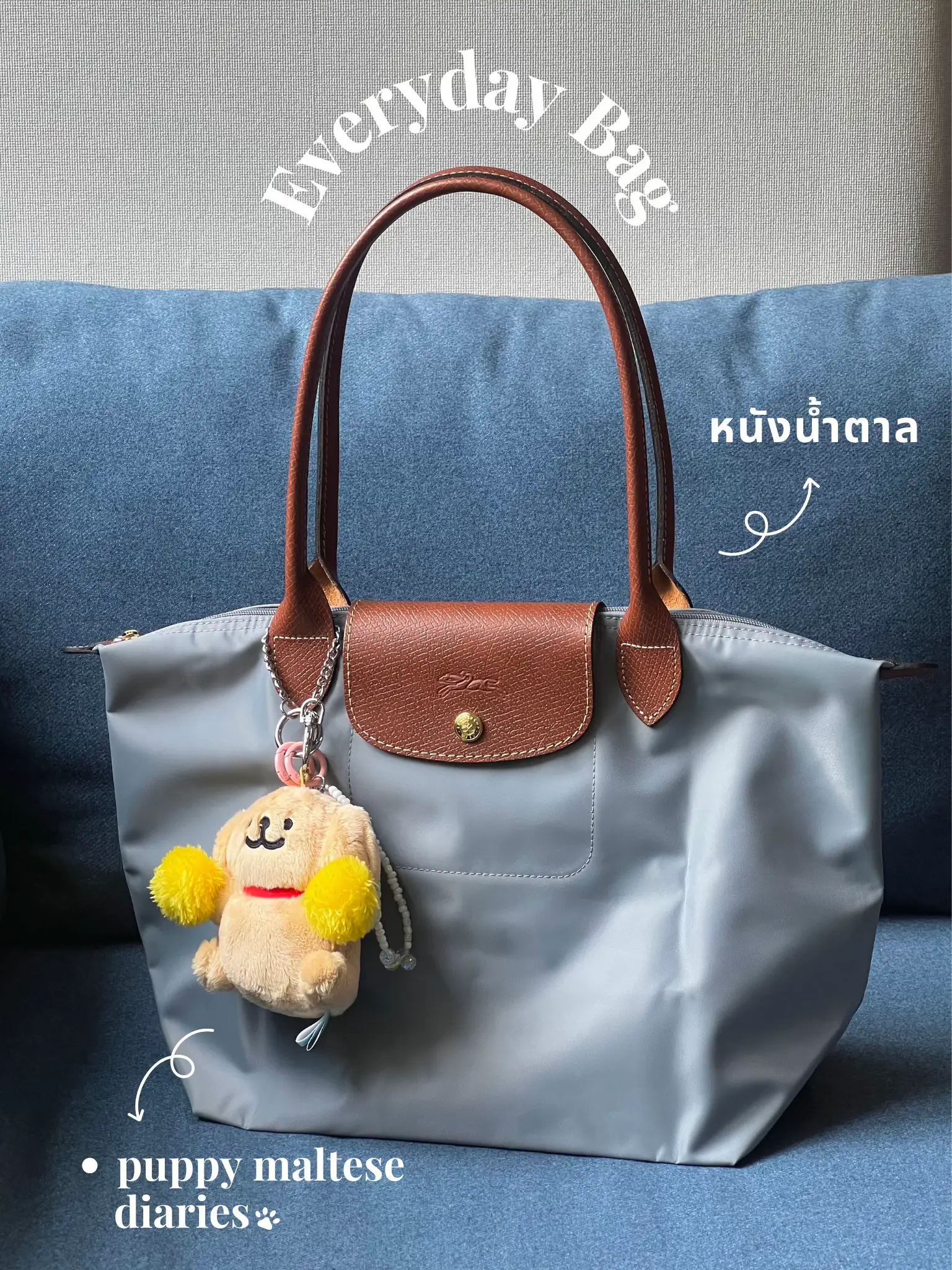 รีวิวกระเป๋า Longchamp รุ่น Original สี Steel น่าตำมั้ย | แกลเลอรีที่ ...