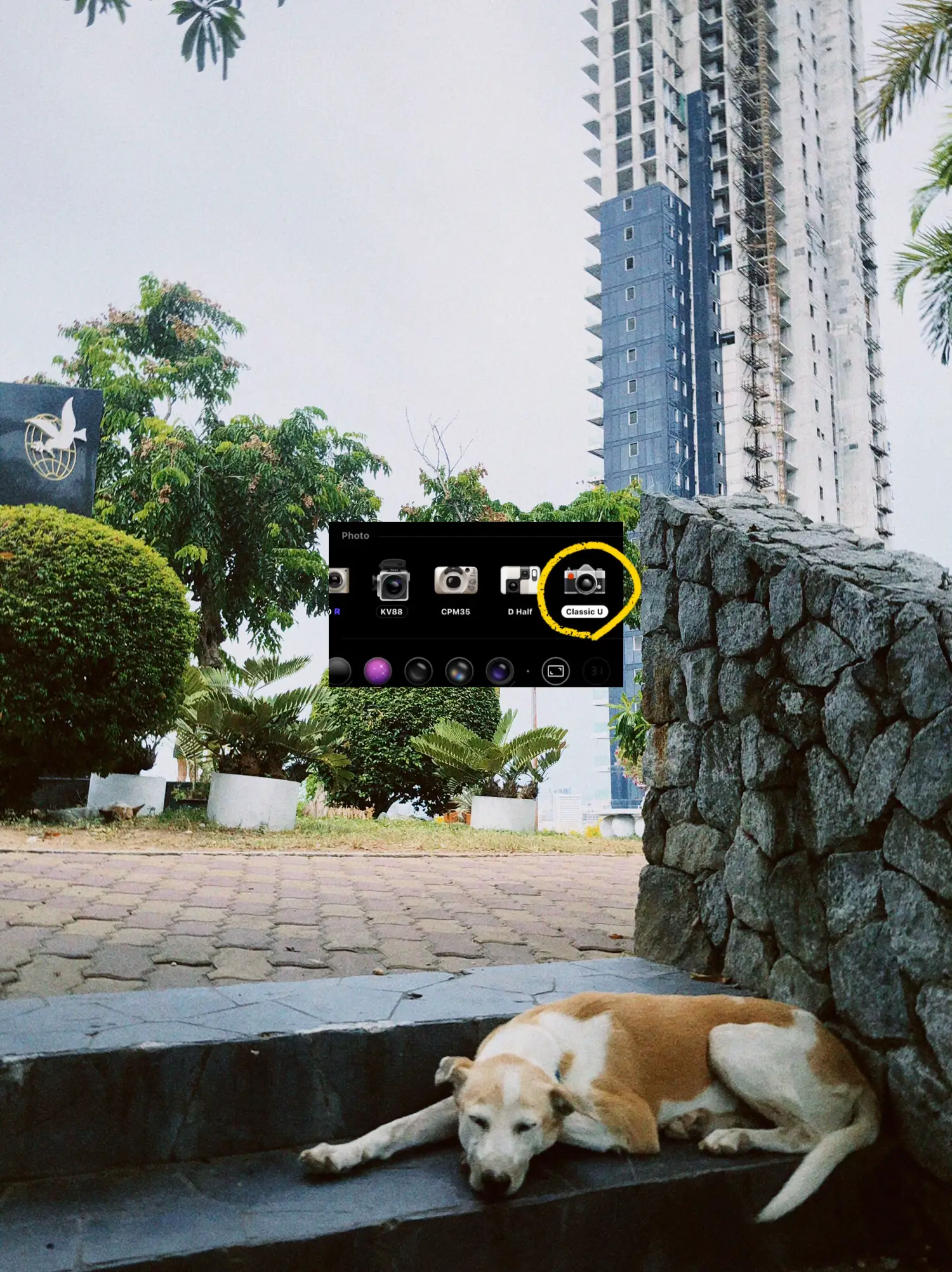 มู้ดภาพสวยๆ By Dazz Cam แอปกล้องฟิล์ม โหลดฟรี! 📸🎞️ | แกลเลอรีที่โพสต์โดย anpaneyestr | Lemon8