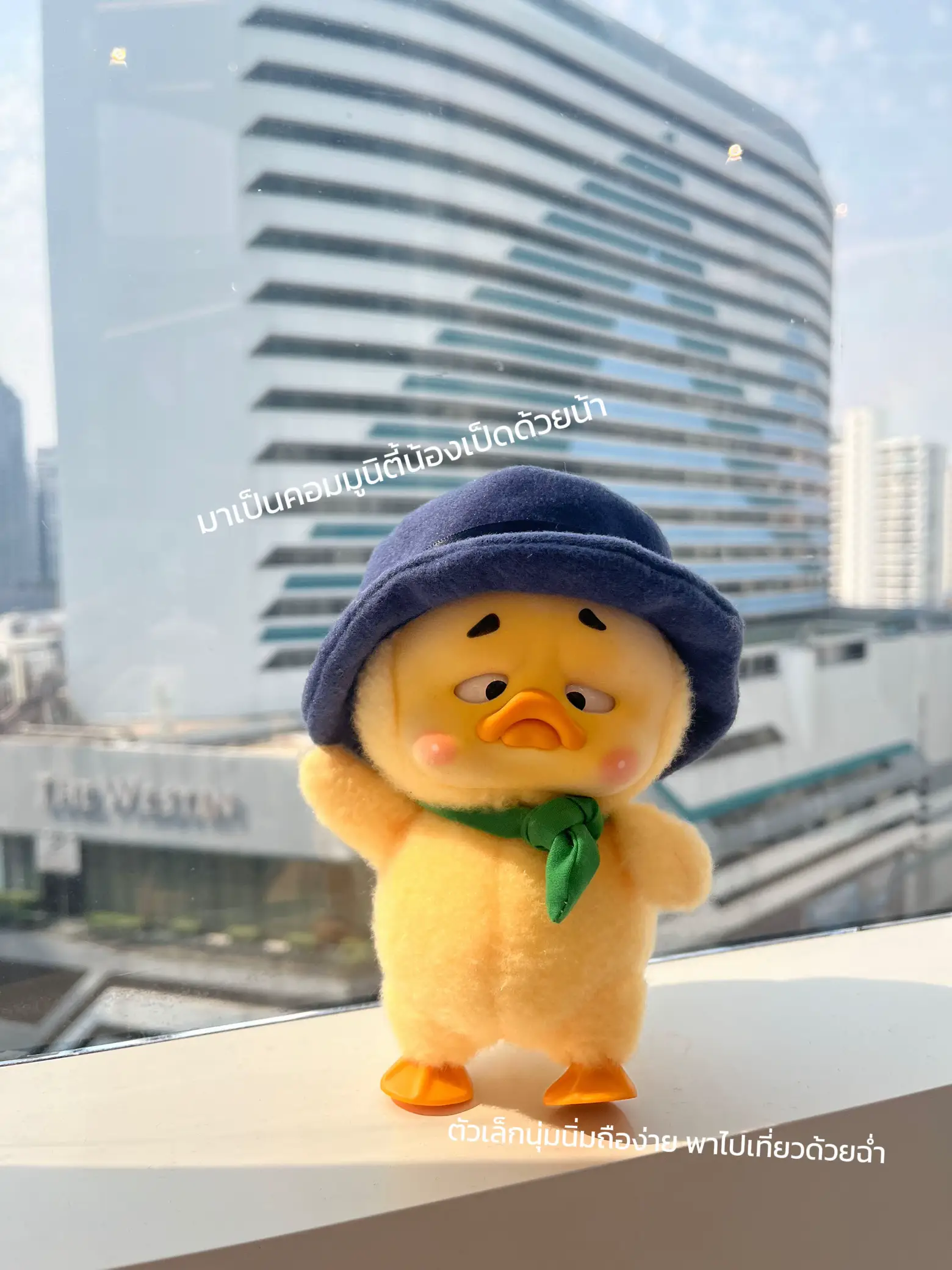 🫶🏻กล่องสุ่ม UpsetDuck น้องเป็ดหน้าบึ้ง🐤 | แกลเลอรีที่โพสต์โดย yokk | Lemon8