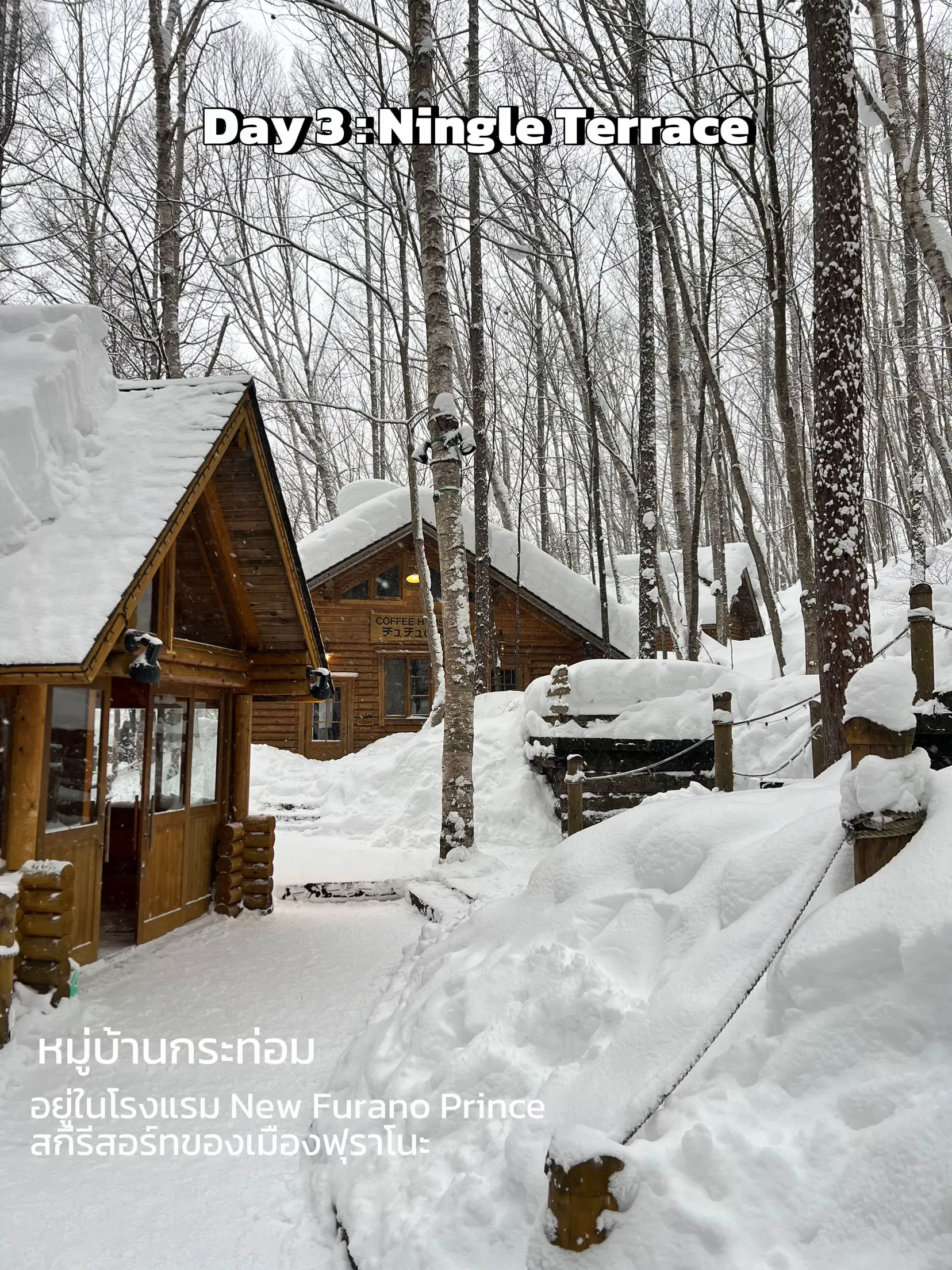 Hokkaido 5-day winter plan giveaway ⛄️ ️ | Gallery posted by Photo dump | Lemon8