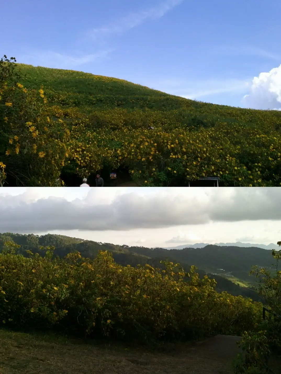 รีวิวกล้อง Kitbeez Ep.1 | แกลเลอรีที่โพสต์โดย Arrow.2965 | Lemon8