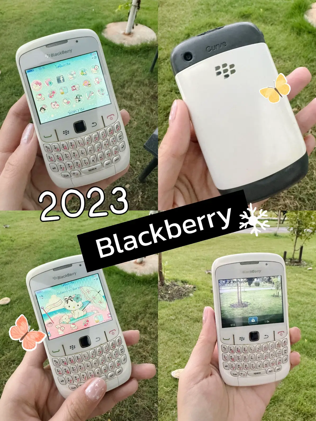 Blackberry ในปี2023 | แกลเลอรีที่โพสต์โดย Gunyarat | Lemon8
