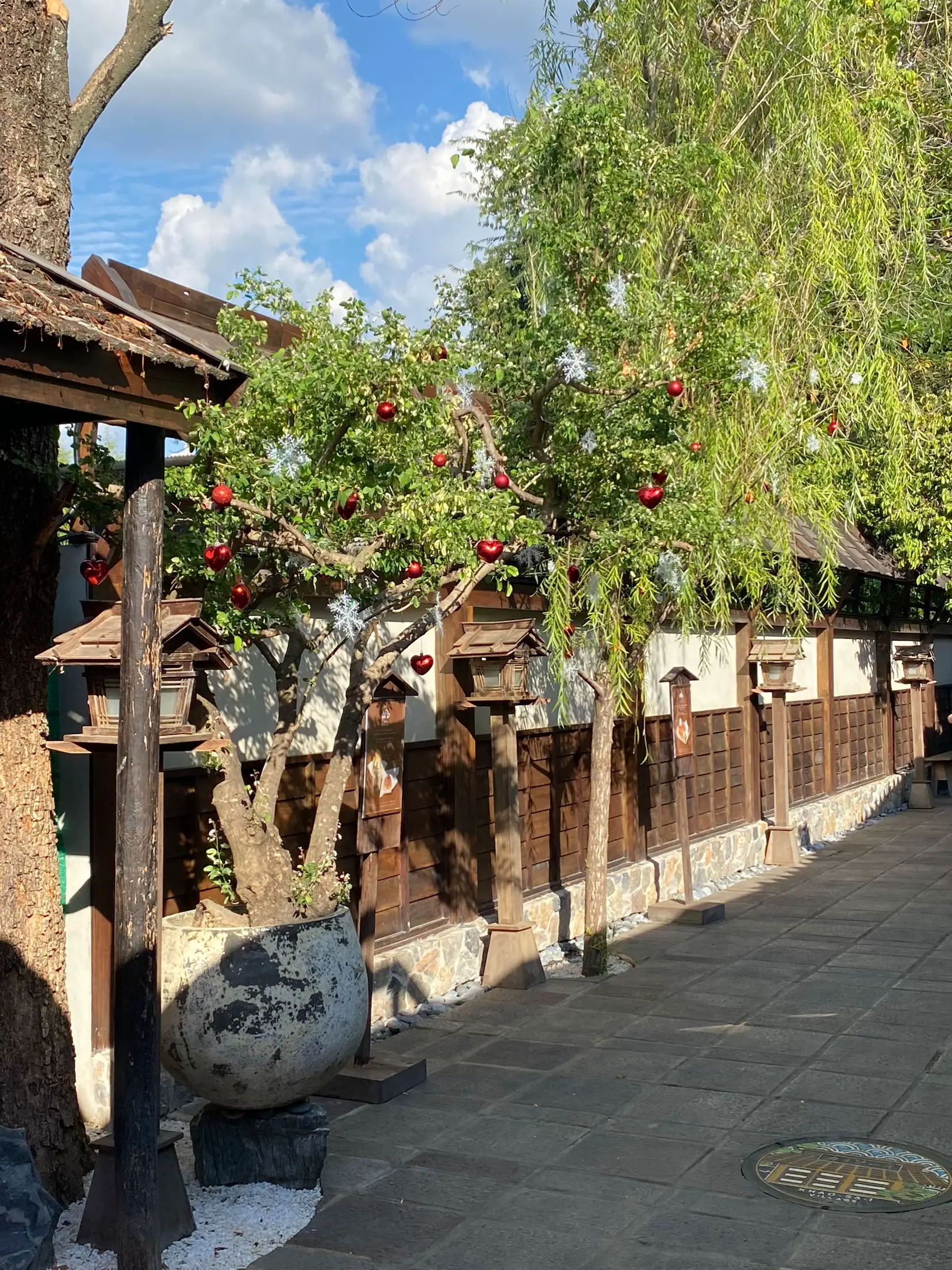 🍦พาชม After You Tea House เชียงใหม่ สไตล์ญี่ปุ่น🇯🇵 | แกลเลอรีที่โพสต์ ...