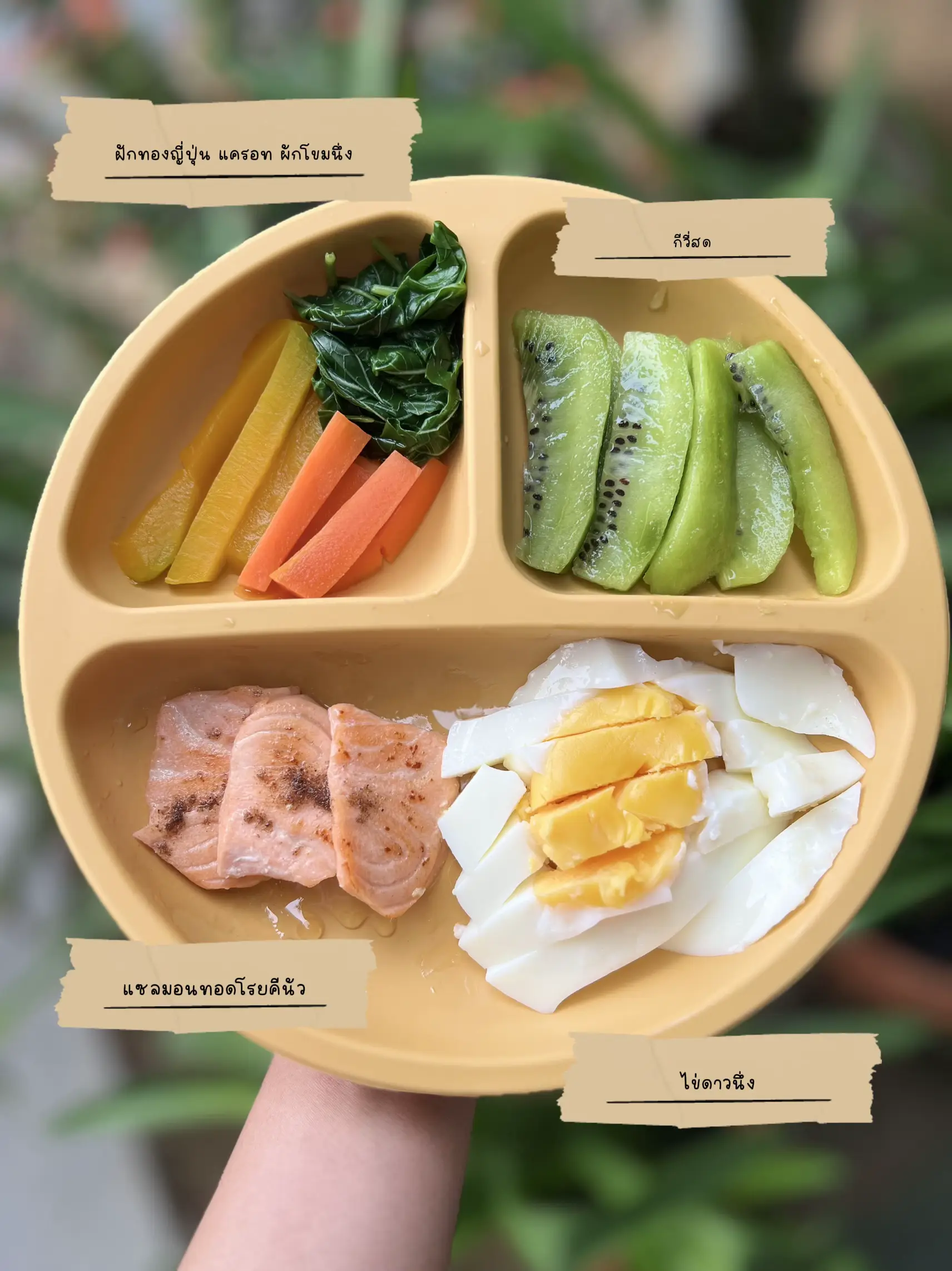 เมนู blw เด็ก7เดือนขึ้นไป | แกลเลอรีที่โพสต์โดย 🌸 Kanittha_kae | Lemon8