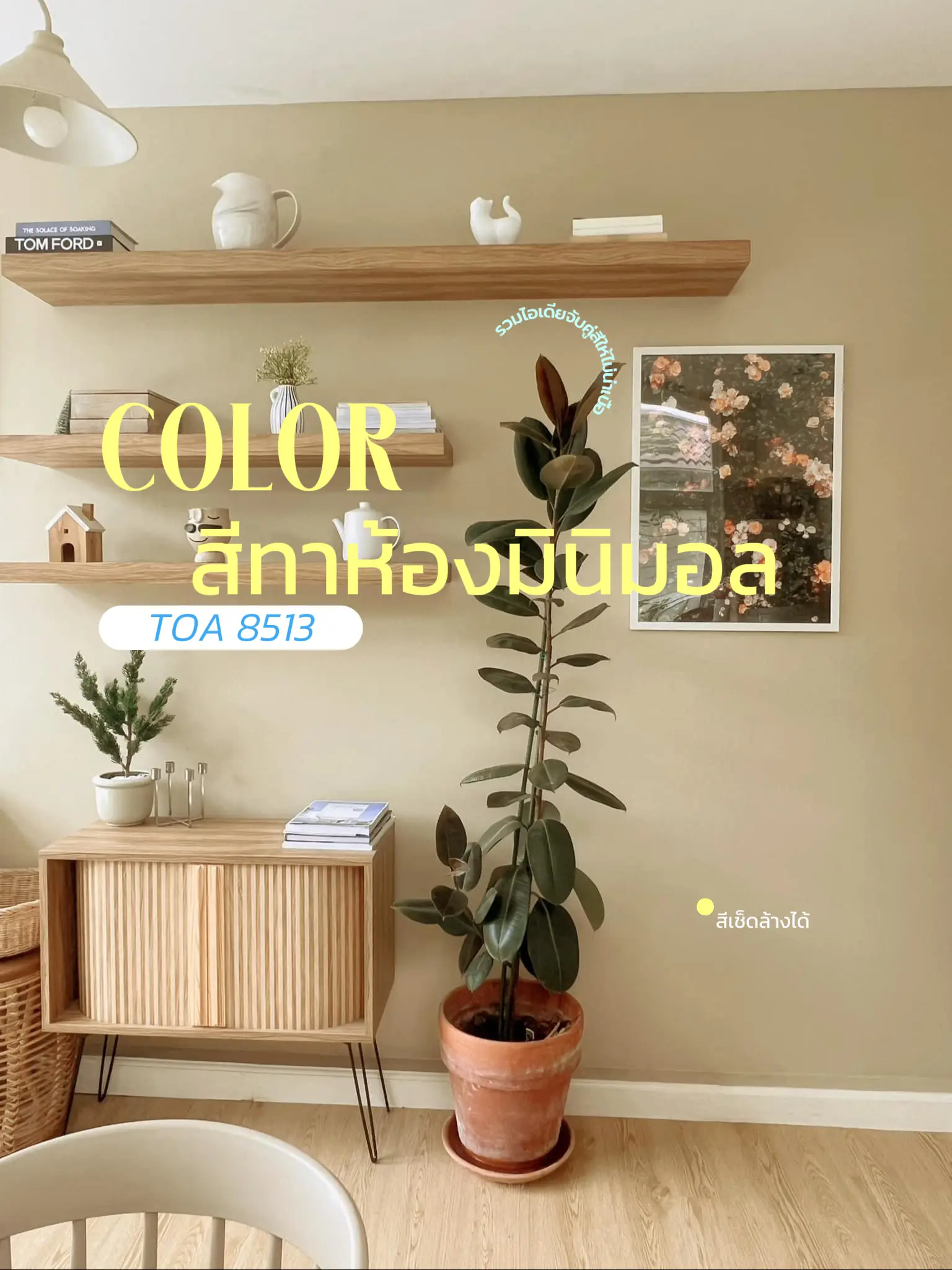 รีวิวสีทาผนัง TOA สวยละมุน☺️ | แกลเลอรีที่โพสต์โดย SalinstoryHome🏡 | Lemon8