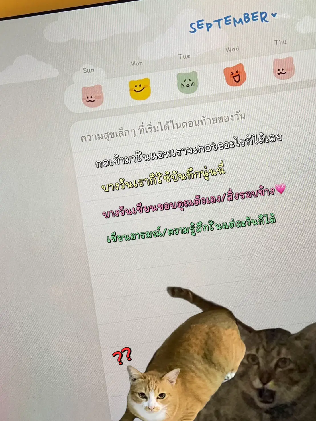 Review app Soso note💗 (แอพเขียนไดอารี่ไม่มีไม่ได้แน้วว ️🌟) | แกลเลอรี ...