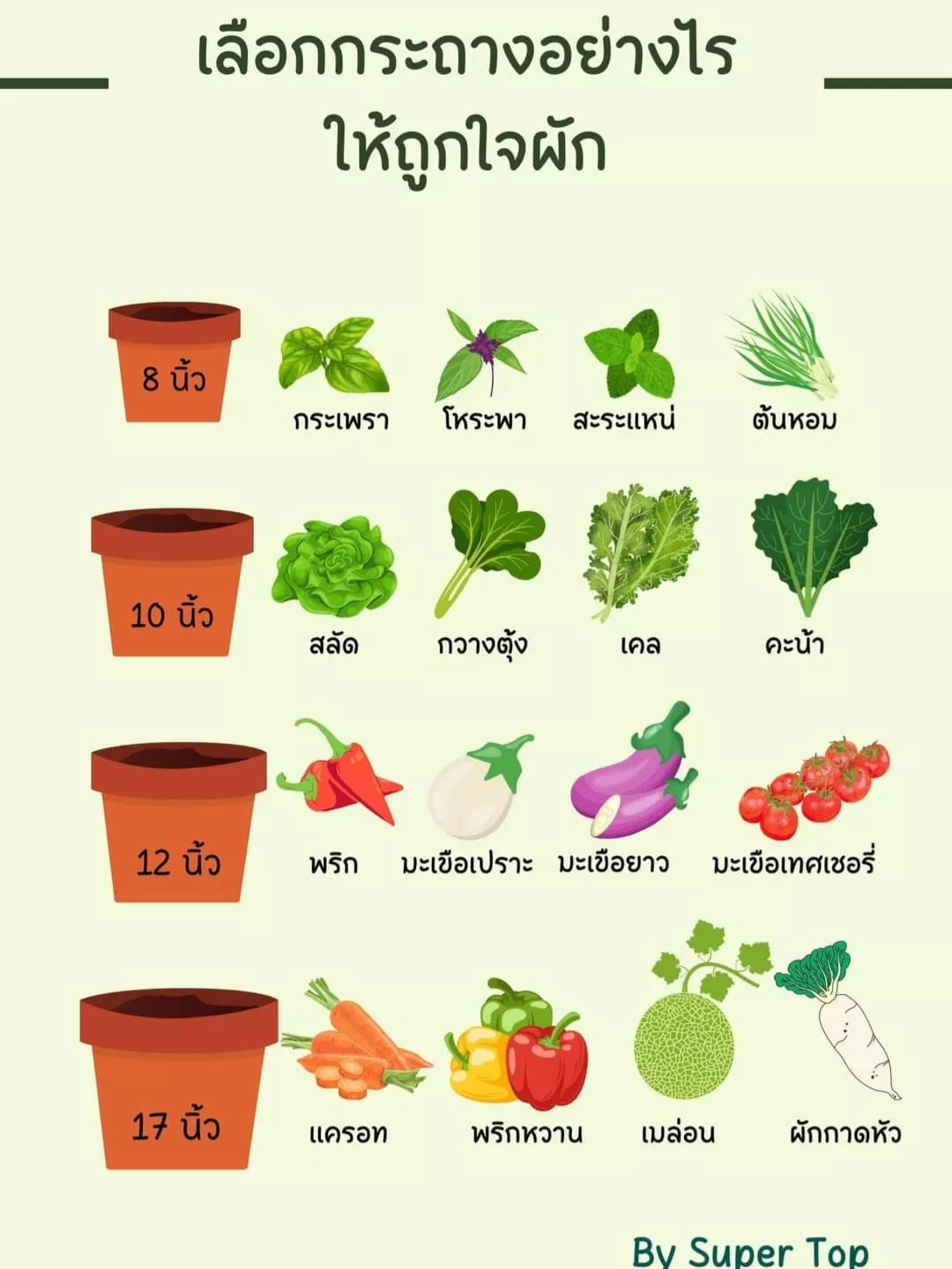 ปลูกผักยังไงให้สวยงาม เลือกกระถางให้ถูกช่วยได้ | แกลเลอรีที่โพสต์โดย ...
