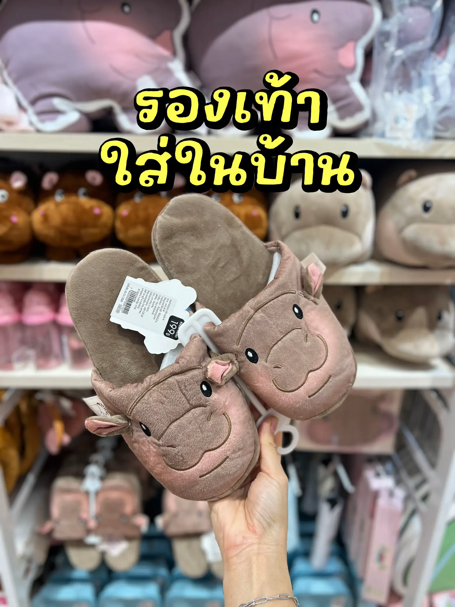 พาส่องเจ้าหมูเด้งใน Moshi Moshi | แกลเลอรีที่โพสต์โดย Janelaya | Lemon8