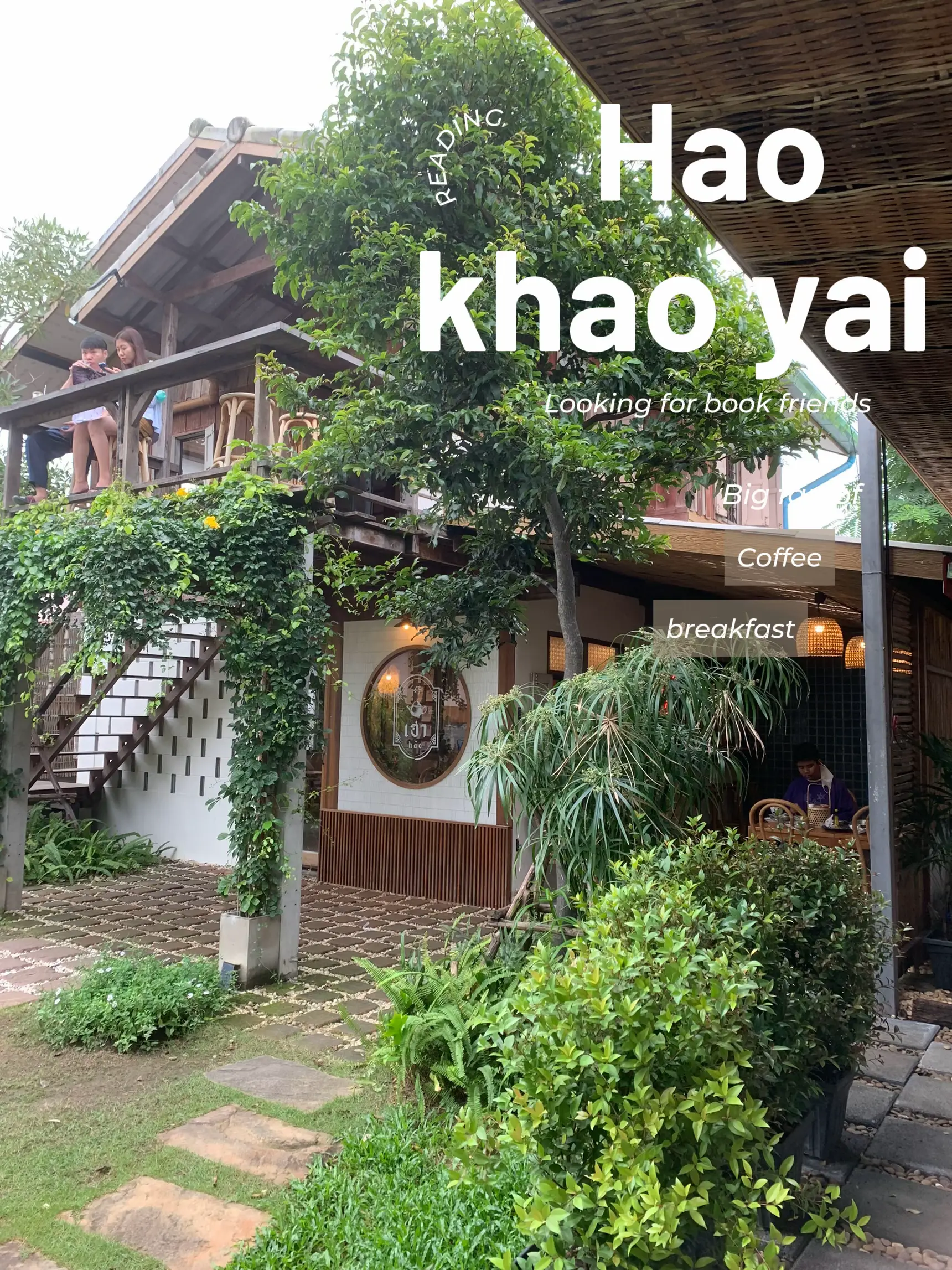 จิบกาแฟ นั่งคุยกันยามเช้าที่ปากช่อง | แกลเลอรีที่โพสต์โดย Cherry98♾チェリー🍒 | Lemon8