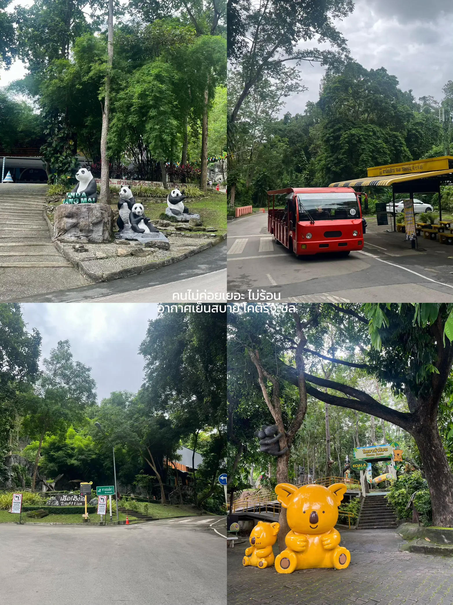 Chiangmai Zoo 2024 🦈🫧 | แกลเลอรีที่โพสต์โดย Kanjana Bow | Lemon8