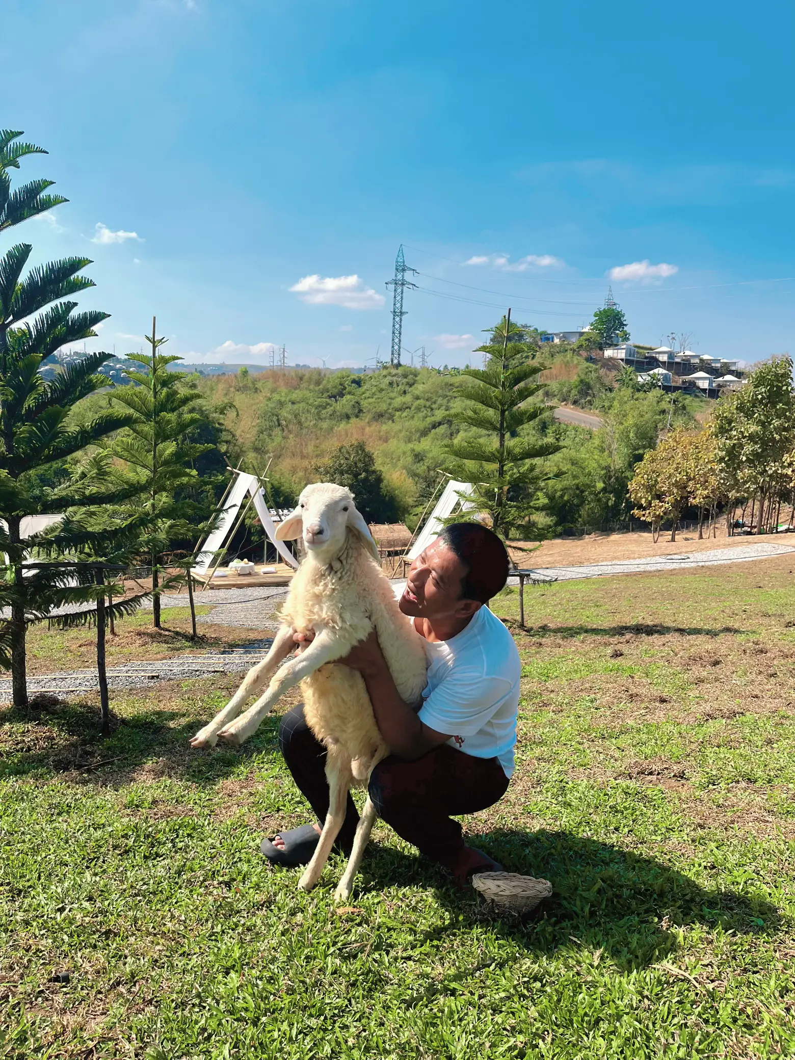 Sheep & Valley | แกลเลอรีที่โพสต์โดย Ben'Pattaraporn | Lemon8