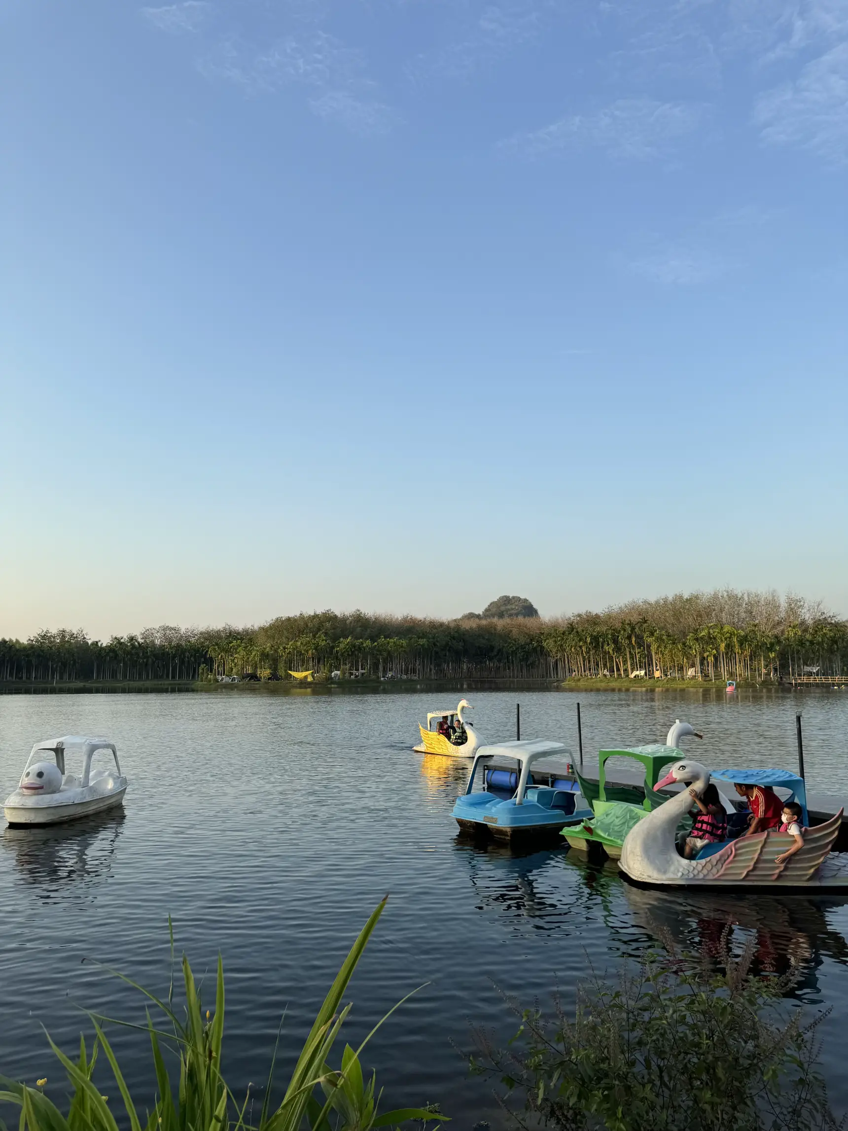 Camping @MADAM SUPAKAN ,Chonburi | แกลเลอรีที่โพสต์โดย Barbiejoo | Lemon8