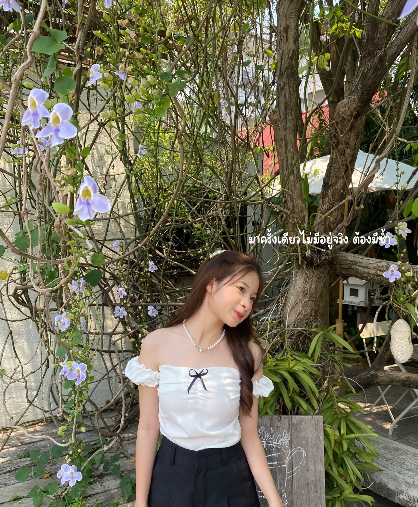 แจกพิกัด คาเฟ่ในแพร่ charlotte hut coffee 📍🛵 | แกลเลอรีที่โพสต์โดย 𓆝 𓆟 ...