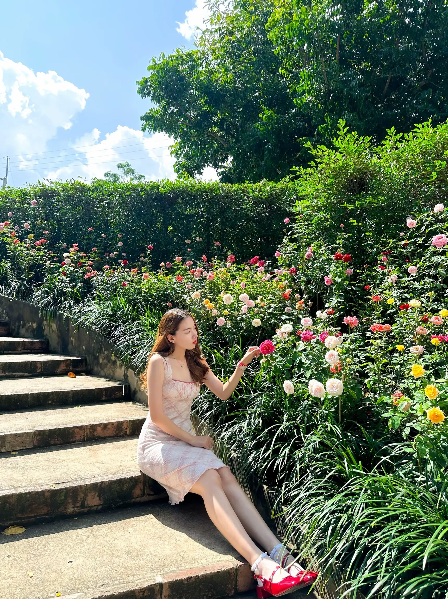 Fleur cafe & Eatery 💖 อ.แม่ริม จังหวัดเชียงใหม่ | แกลเลอรีที่โพสต์โดย Kru gee | Lemon8