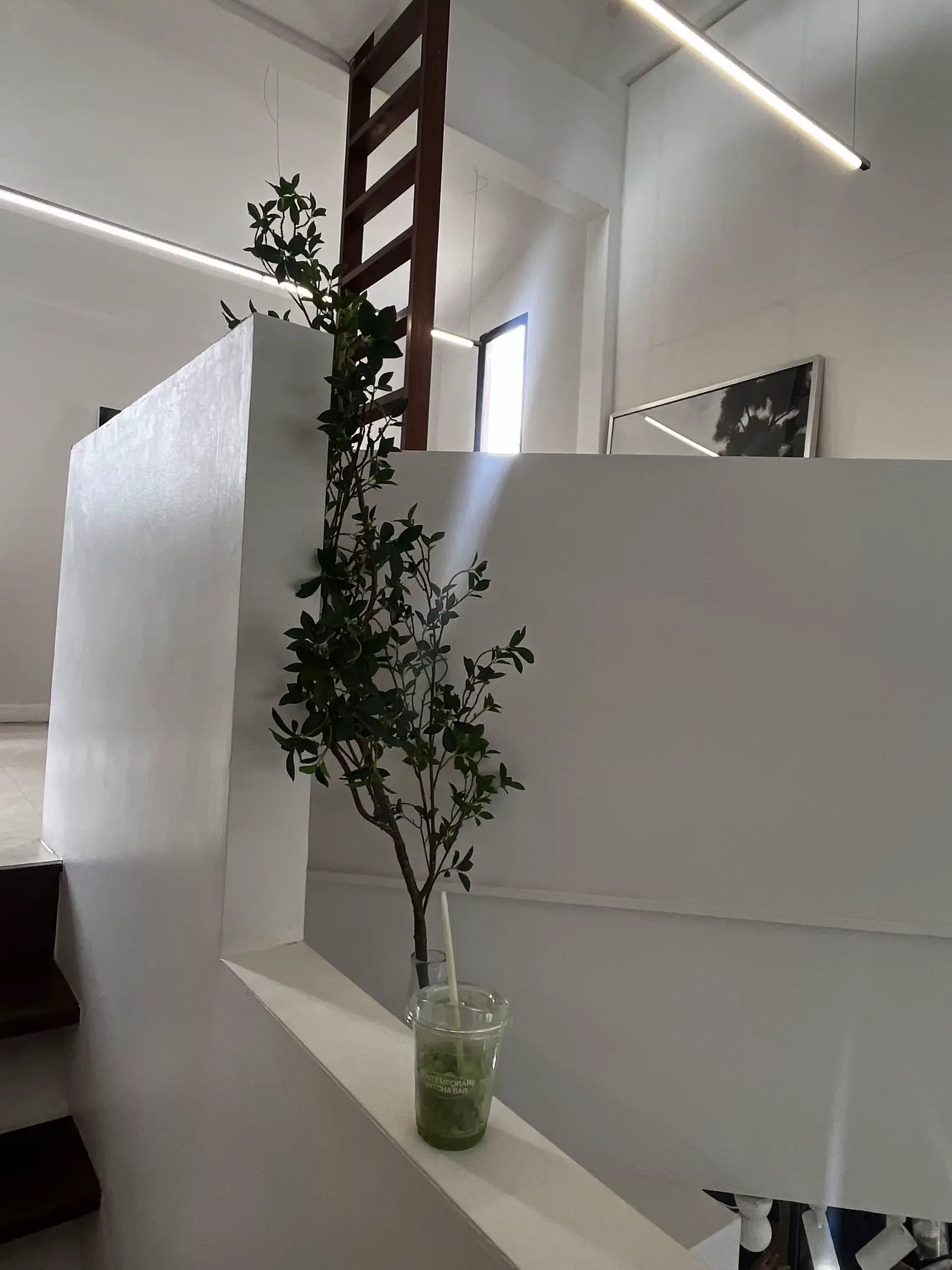 MATCHA-ARI | แกลเลอรีที่โพสต์โดย รีวิวว | Lemon8