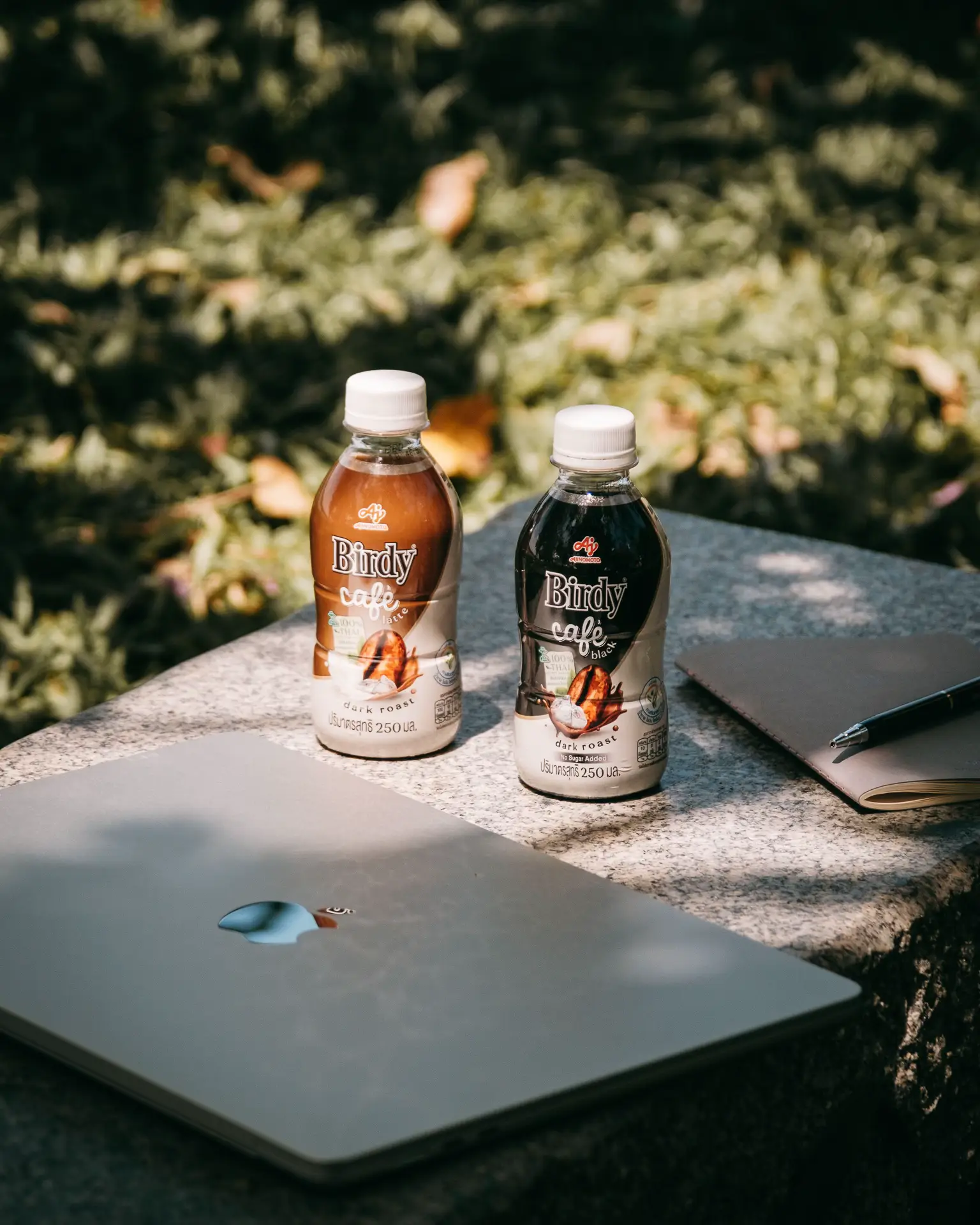 Birdy Café เมล็ดกาแฟโรบัสต้า คุณภาพจากเกษตรกรไทย 100% | แกลเลอรีที่ ...