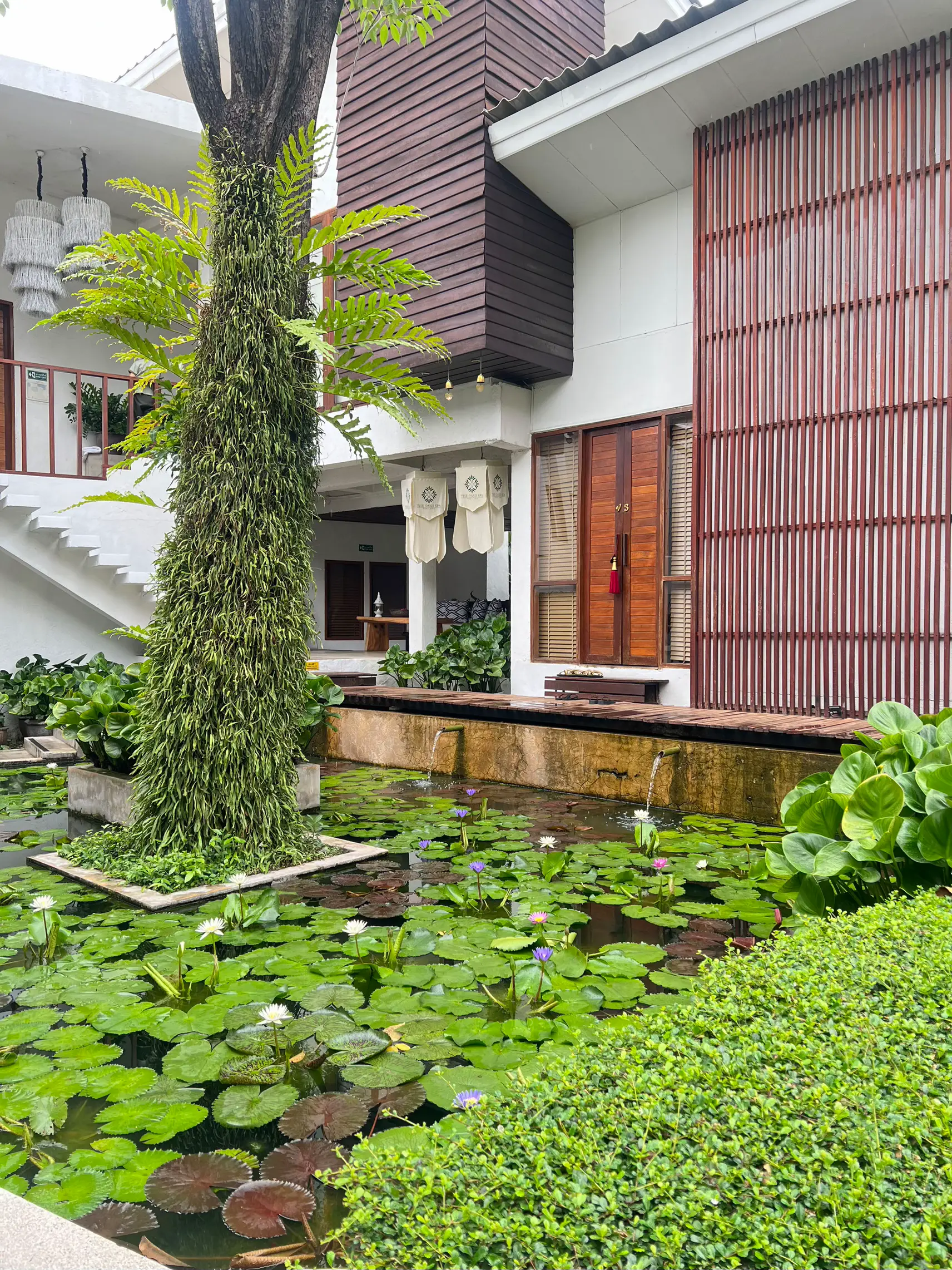 The Oasis spa • สปาย่านพร้อมพง สุขุมวิท 31 | แกลเลอรีที่โพสต์โดย ...