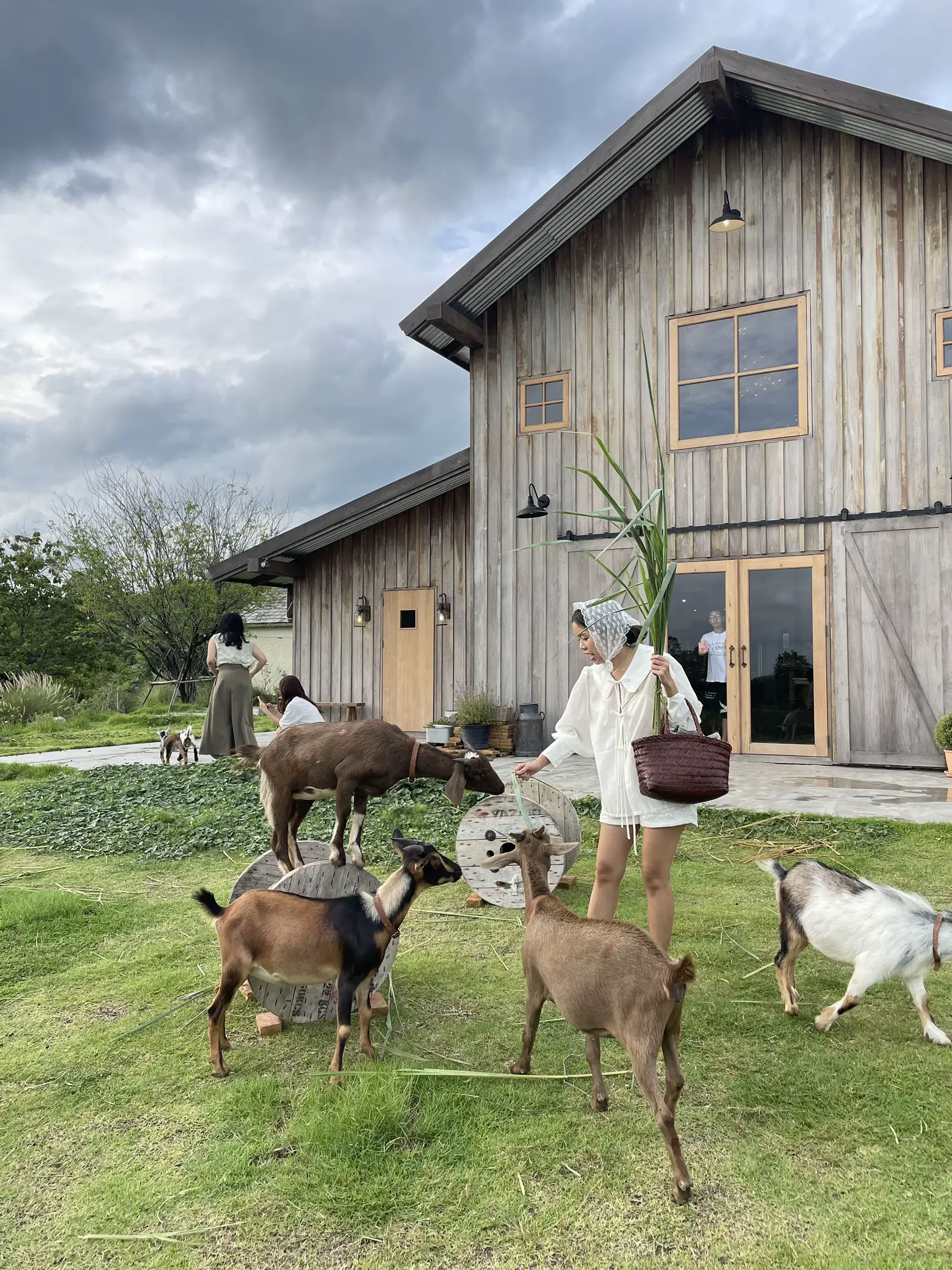 The treat farm hotel ที่พักใกล้กรุงเทพสวยเหมือนอยู่ตปท | แกลเลอรีที่ ...