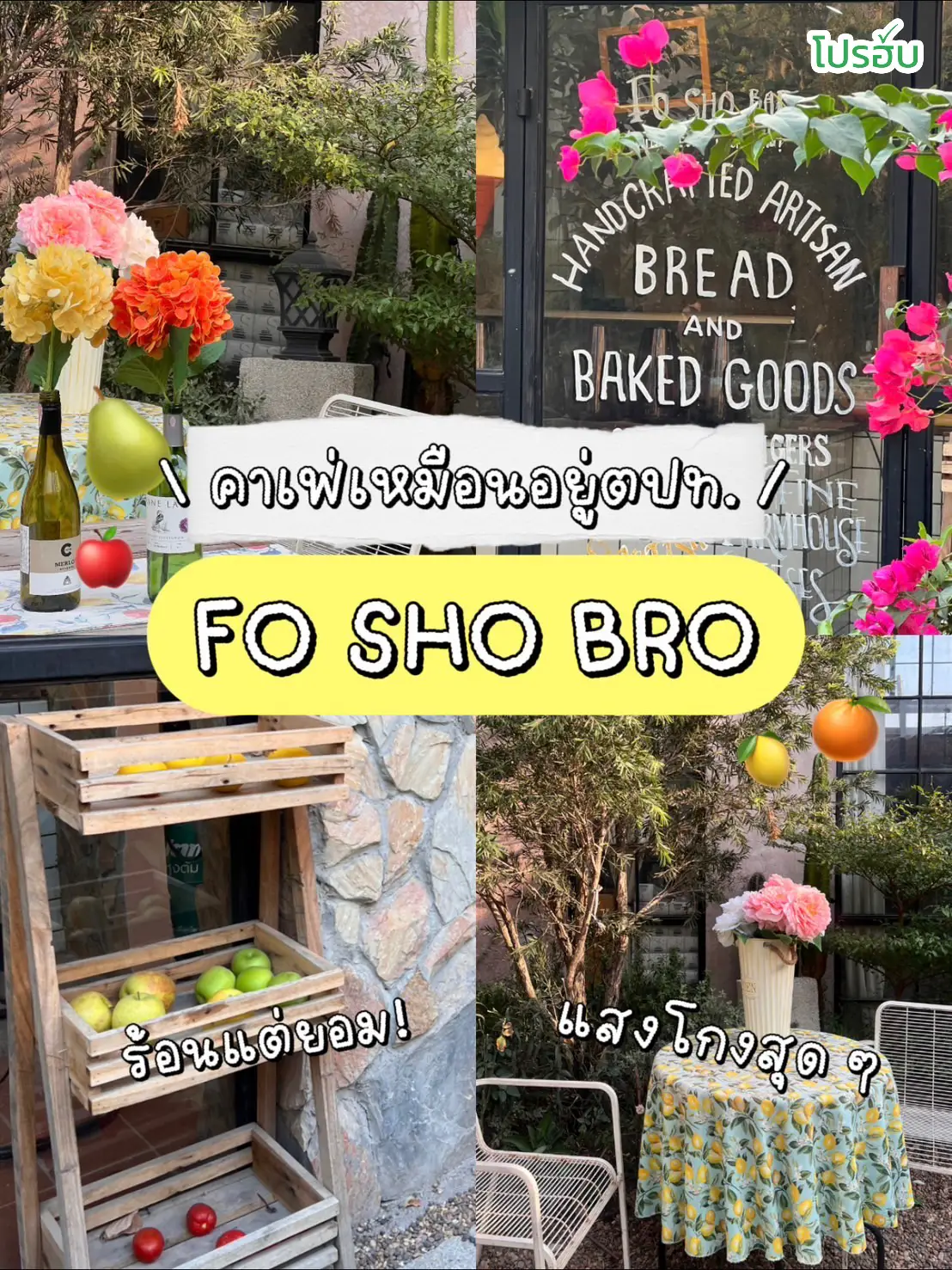 🏝️ FO SHO BRO เช็คอินที่คาเฟ่ไทยยังไง เหมือนอยู่ตปท. 🤣 | แกลเลอรีที่ ...