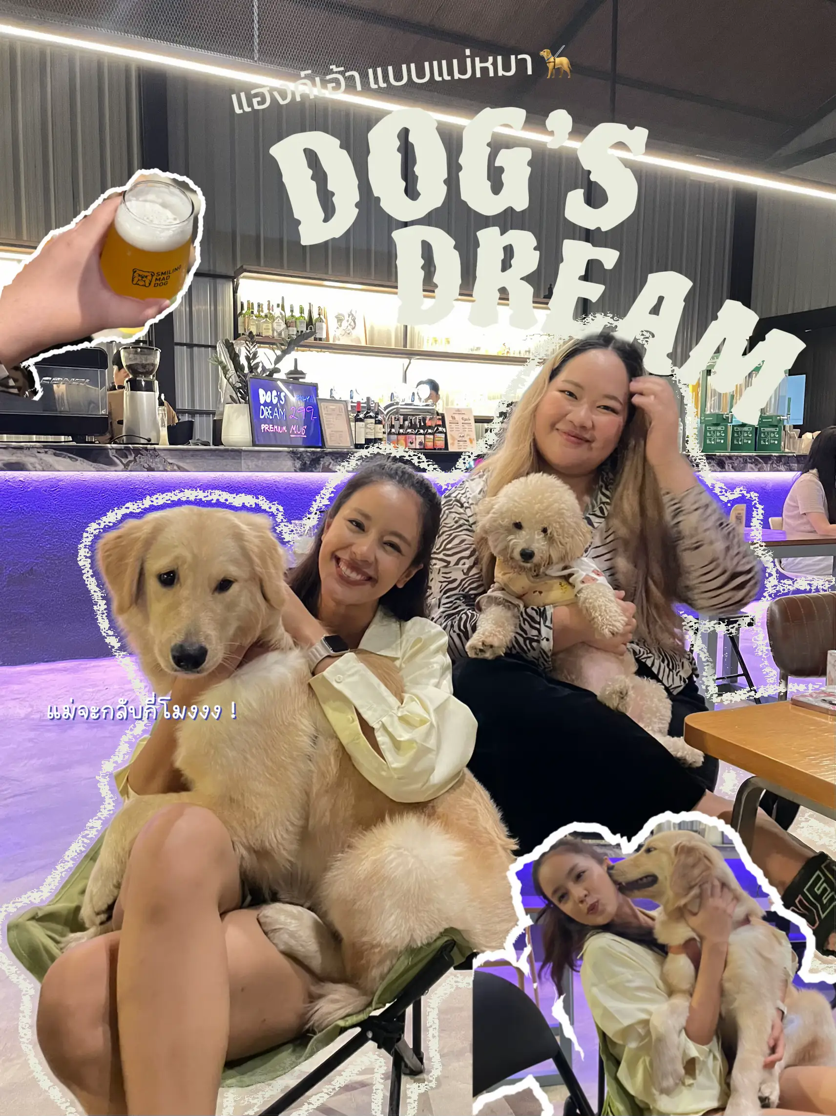 DOG’S DREAM บาร์ที่พาน้องหมา/แมว ไปได้ 😍 | แกลเลอรีที่โพสต์โดย Ploypai | Lemon8