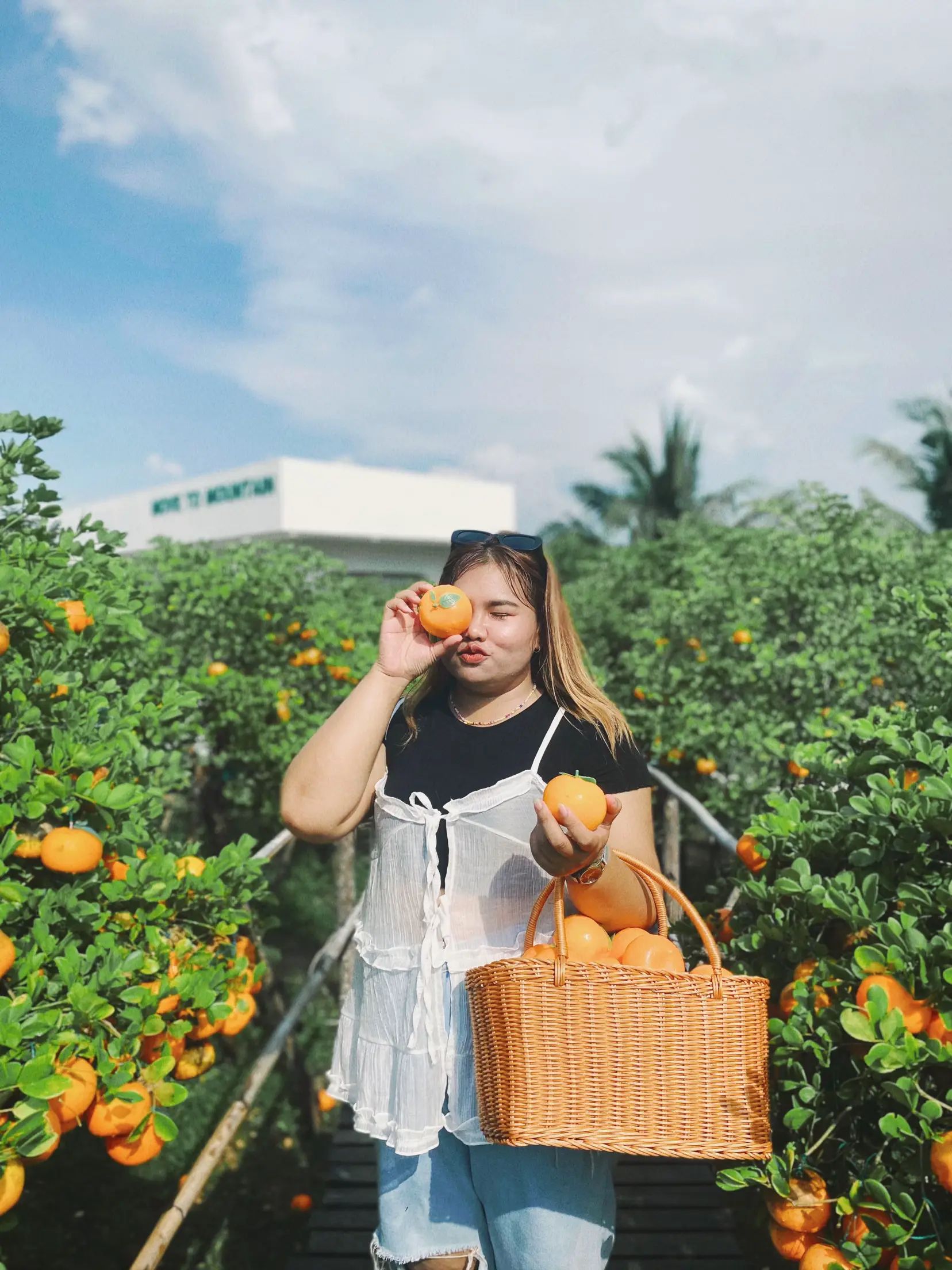 คาเฟ่กาญจนบุรี 🍊🍊🍊🍊 | แกลเลอรีที่โพสต์โดย panpk_39 | Lemon8