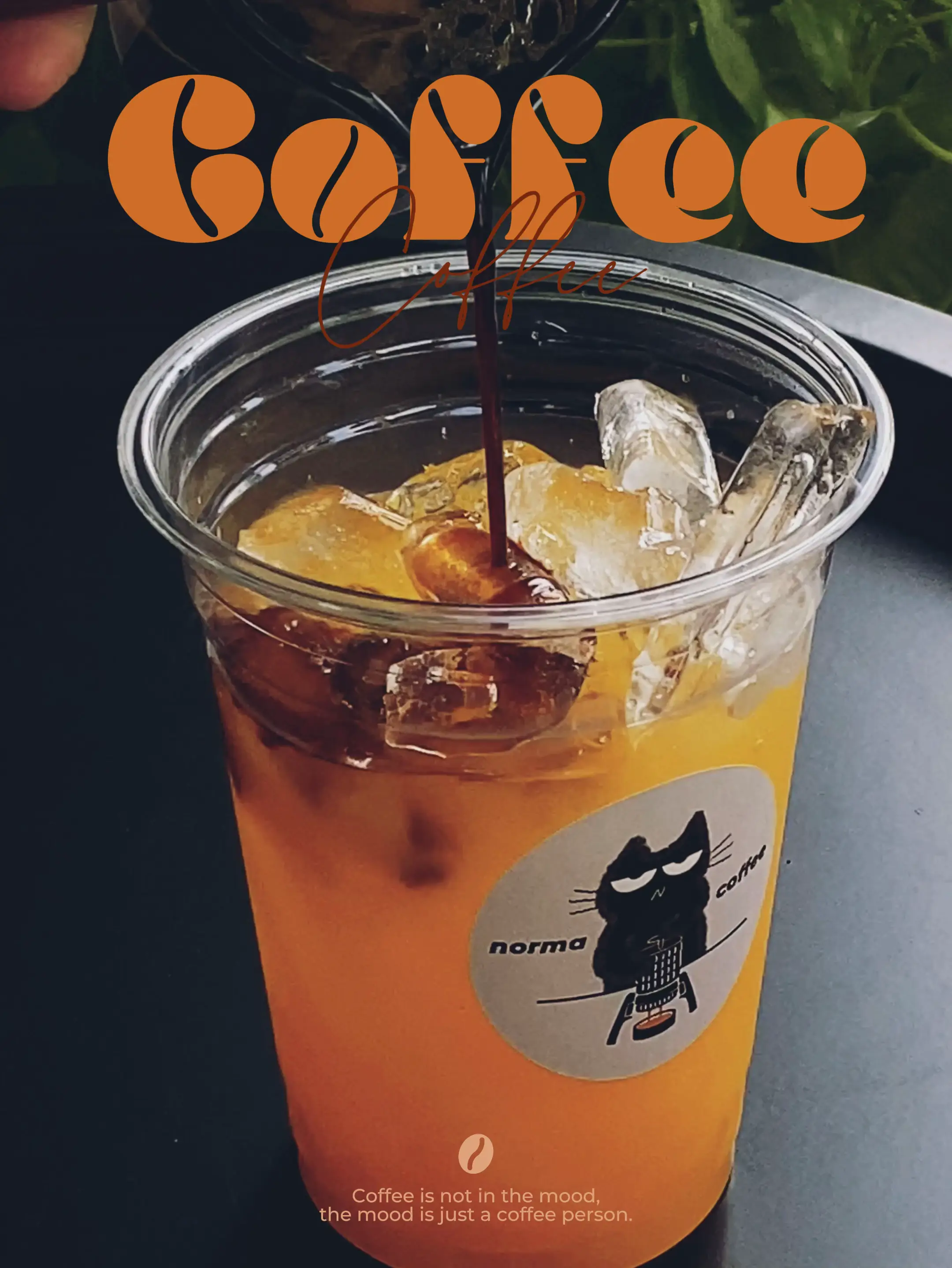 Orangano ที่ norma coffee | วิดีโอที่เผยแพร่โดย iijoon | Lemon8