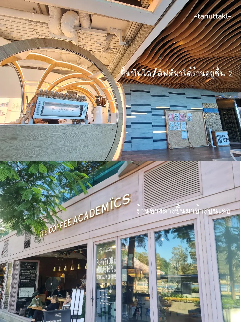 แจกพิกัด ARABICA หาด Repulse bay ไหว้พระละมาชิลต่อ | แกลเลอรีที่โพสต์ ...