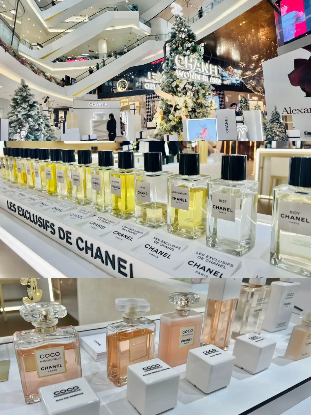 CHANEL HOLIDAY 2023 MEDIUM CHRISTMAS Tree Photo Iconシャネル | Pira Storyが ...