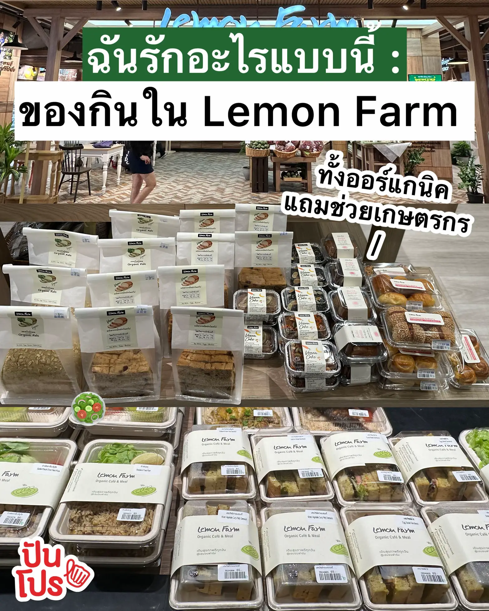 ส่องโซนอาหาร Lemon Farm ออร์แกนิกแถมช่วยเกษตร🤩 | แกลเลอรีที่โพสต์โดย punpromotion | Lemon8
