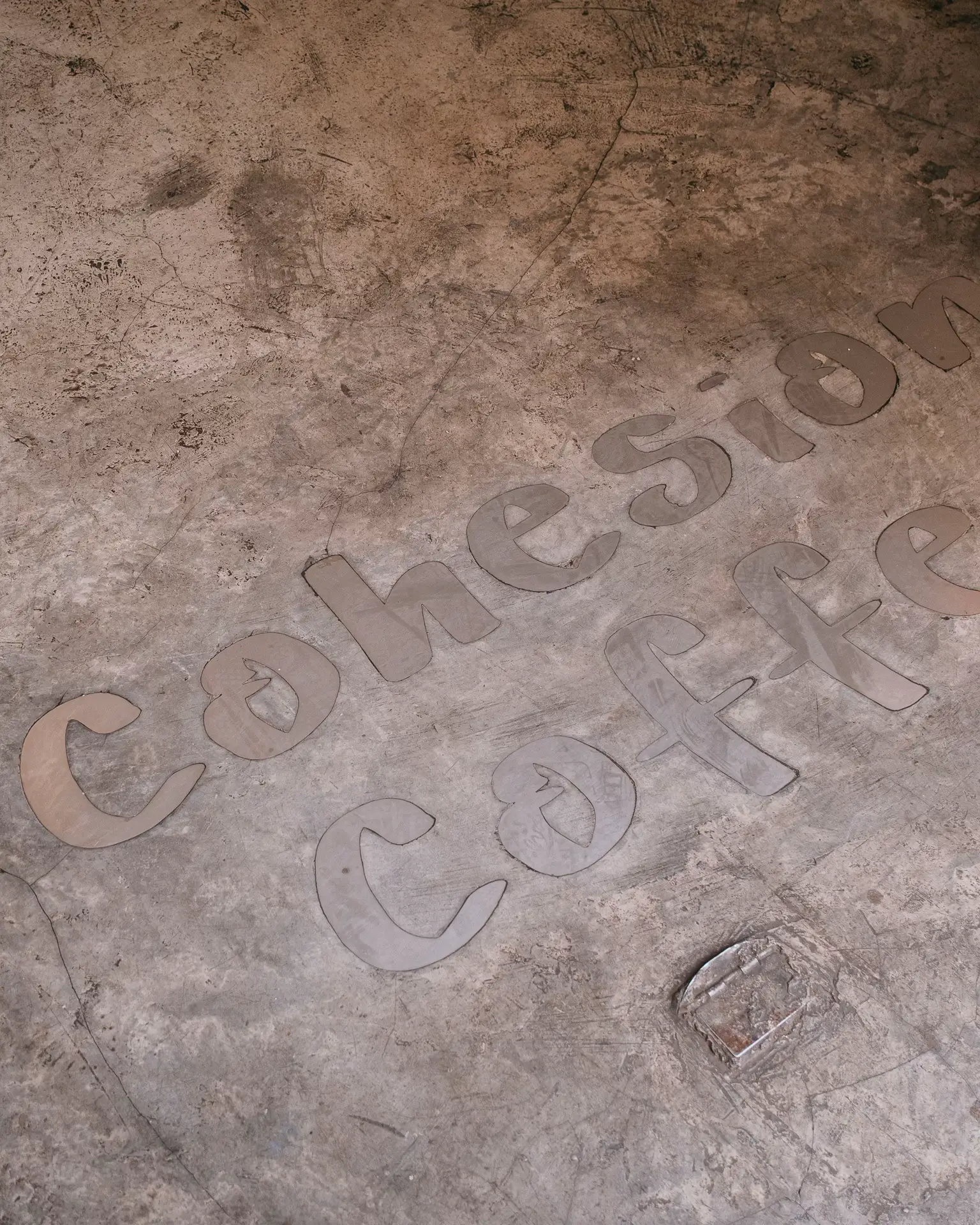 Cohesion Coffee คาเฟ่คูลๆ ที่ถนน Qiagnian เมืองคุนหมิง ☕️🛹 | แกลเลอรี ...