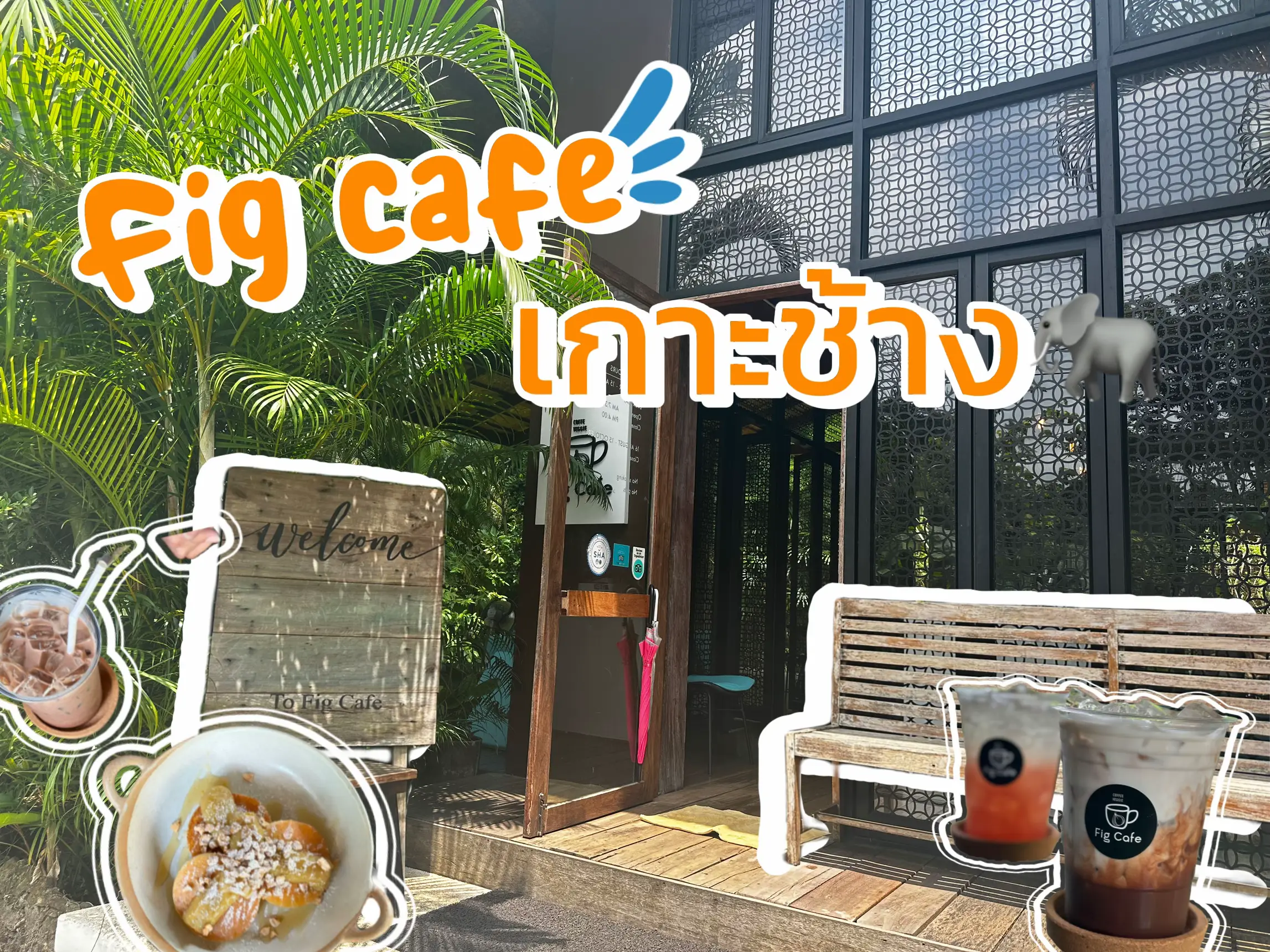Fig cafe at Elephant Island🐘 | Gallery posted by ผู้หญิงมีพุง | Lemon8