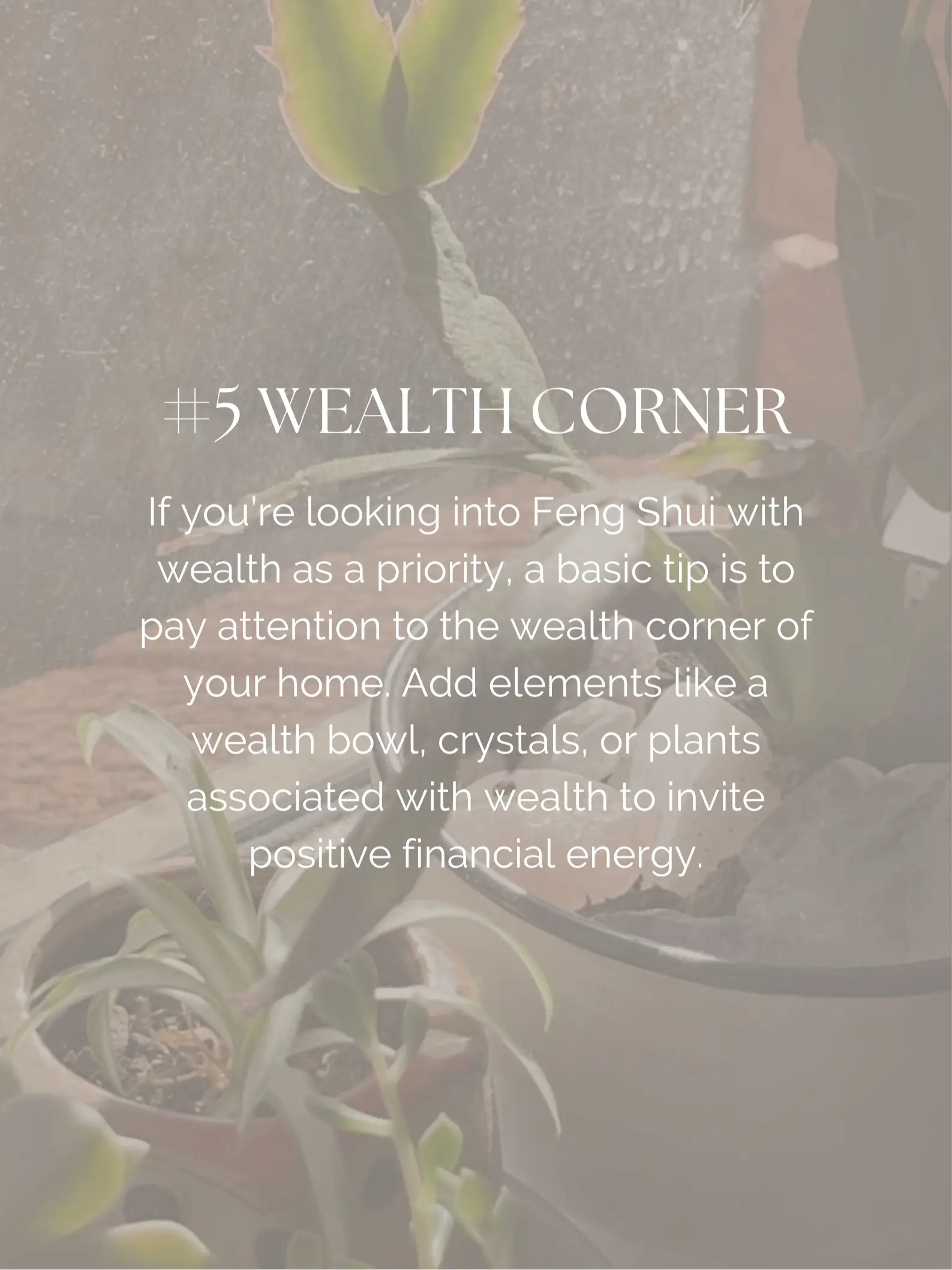 Positive Energy: Feng Shui Tips for Your New Home! | Gallery posted by ...