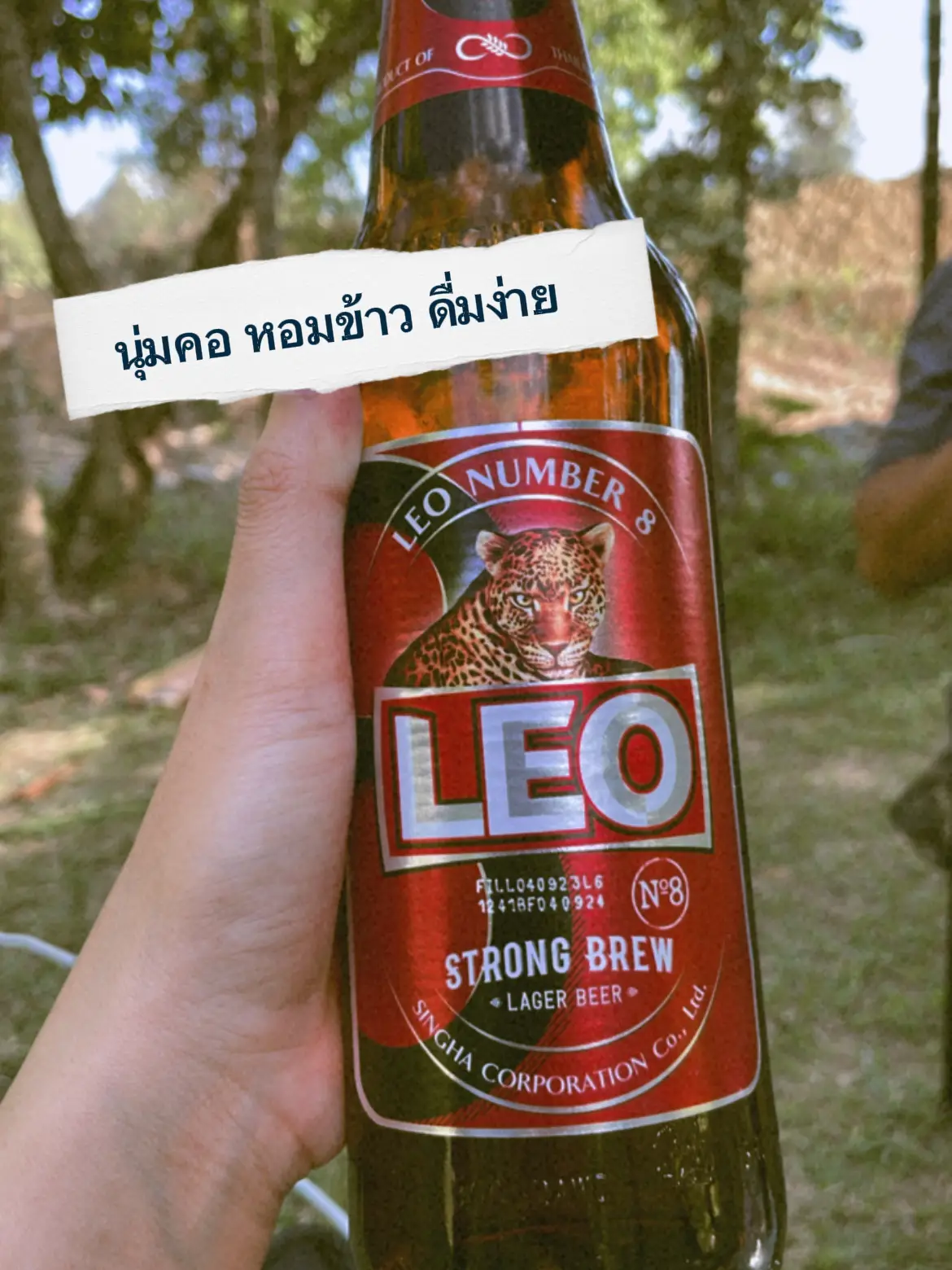 20 ไอเดียยอดนิยมเกี่ยวกับ เบียร์ Budweiser 7-11 ในปี 2024