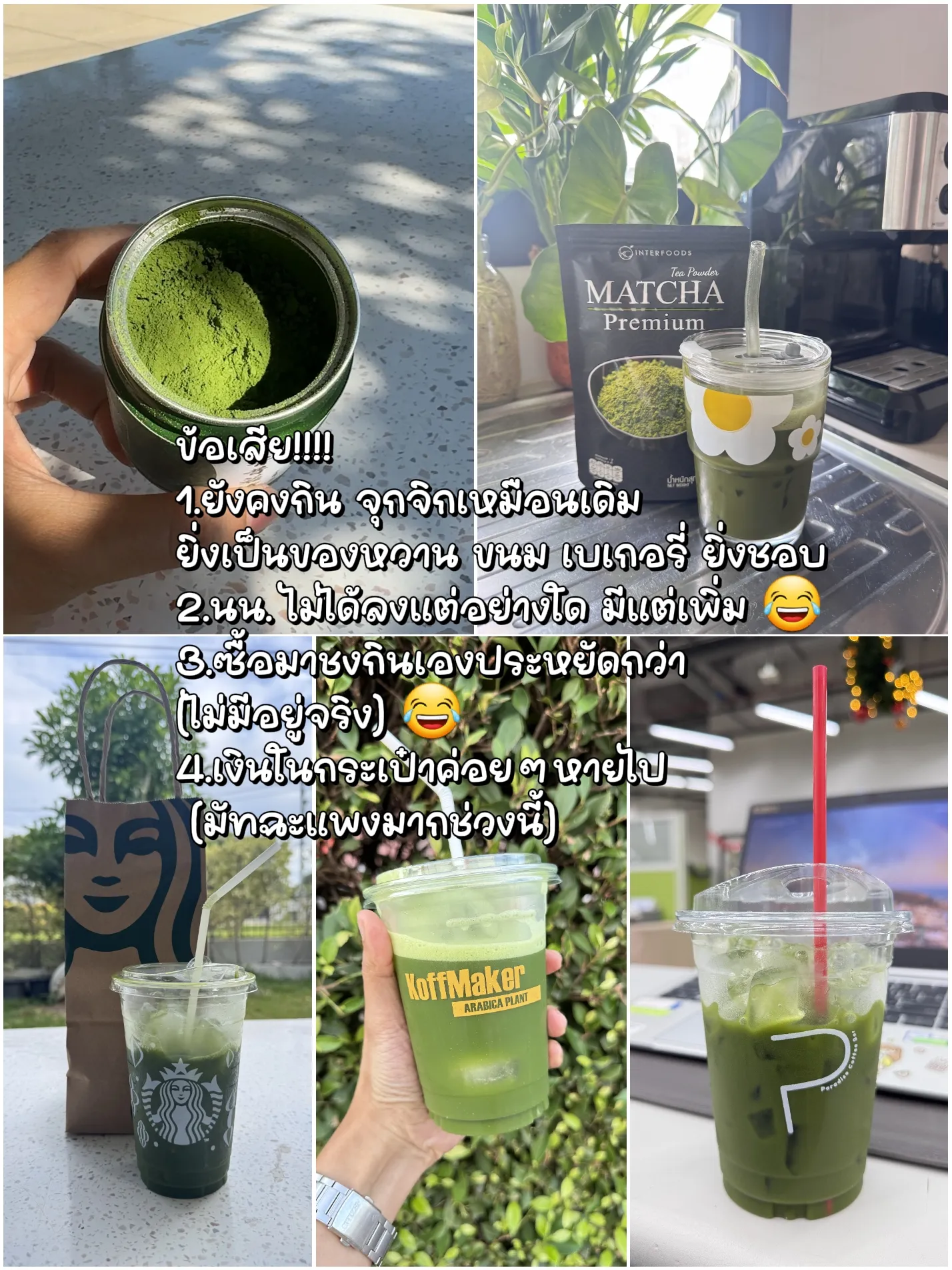 ประโยชน์ที่ได้จากการทาน Pure Matcha ครบ 1 เดือน 🍵🌱 | แกลเลอรีที่โพสต์ ...
